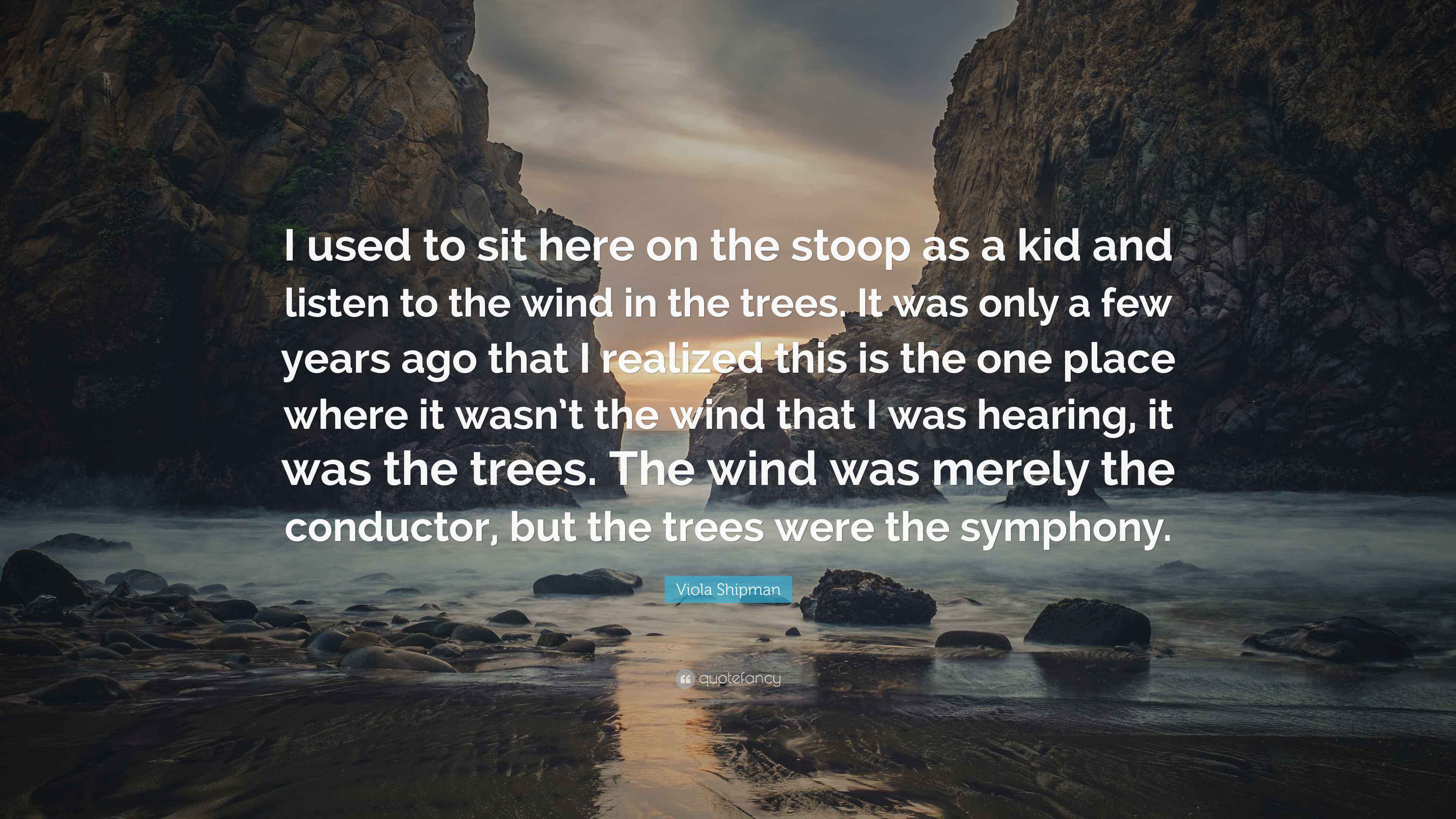 Viola Shipman Quote: “I used to sit here on the stoop as a kid and ...
