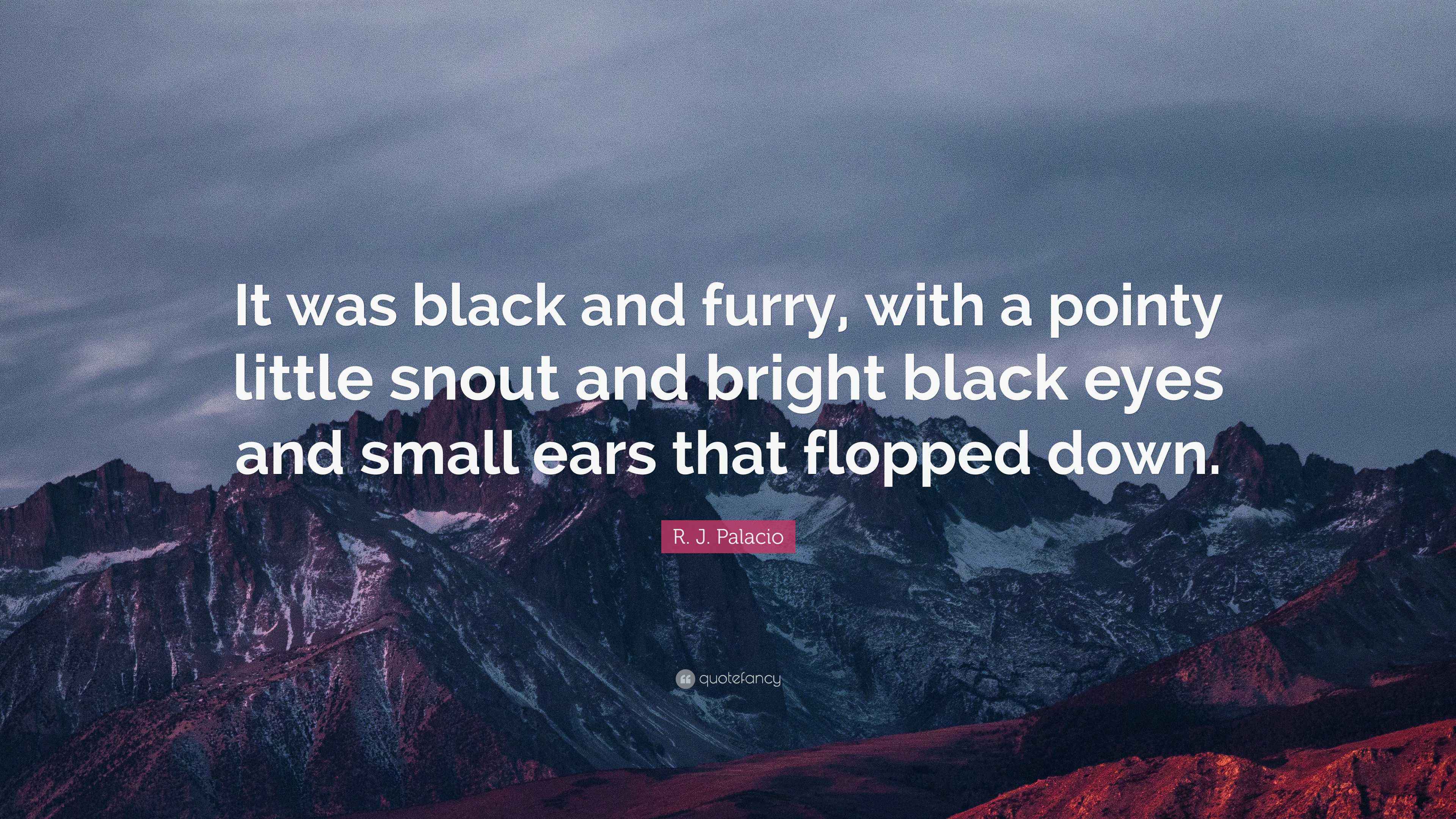 R. J. Palacio Quote: “It was black and furry, with a pointy little ...