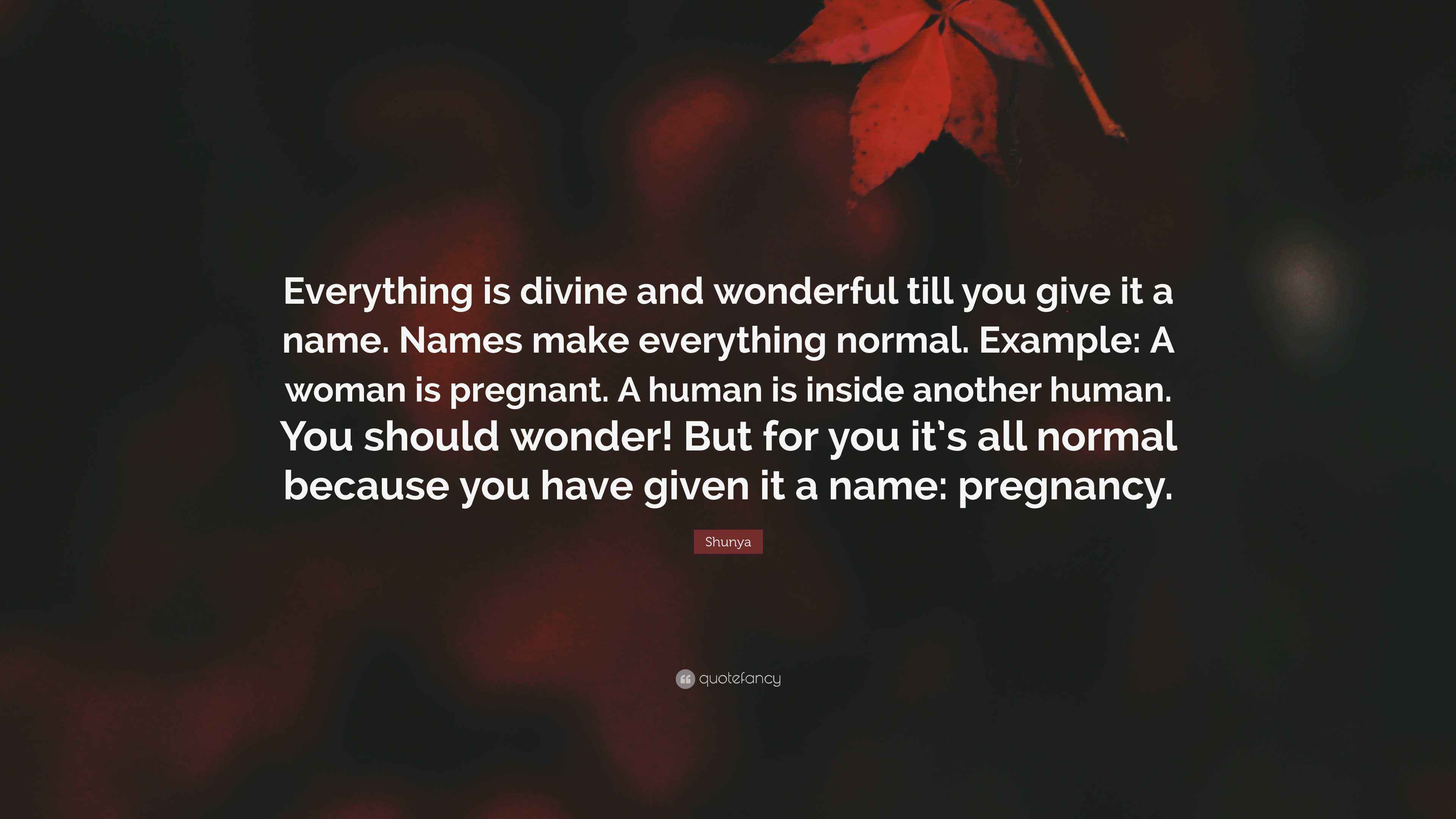 Shunya Quote: “Everything is divine and wonderful till you give it a ...
