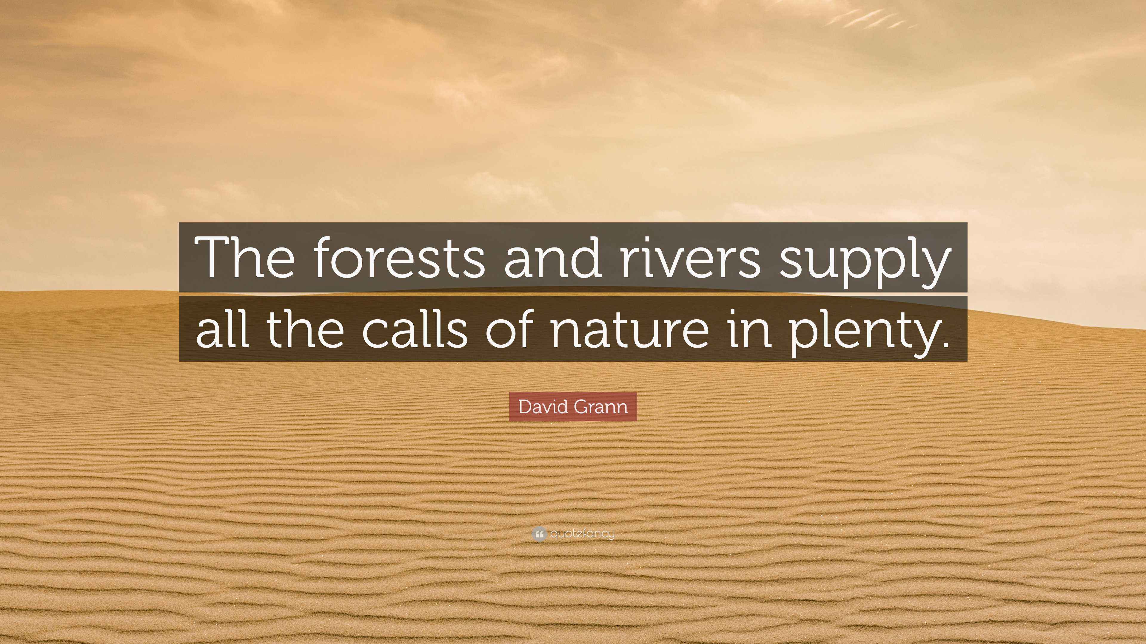 David Grann Quote: “The forests and rivers supply all the calls of ...