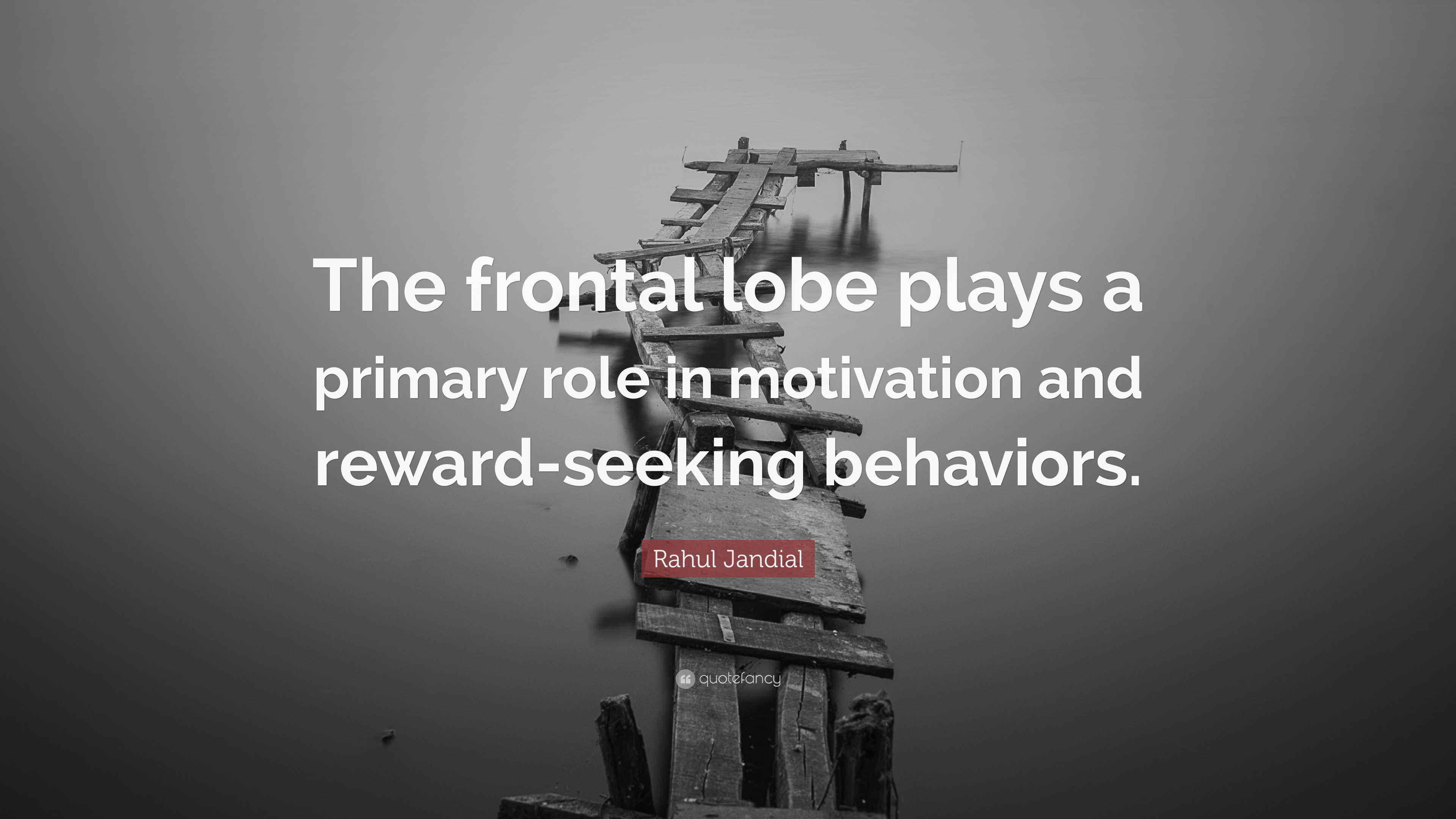 Rahul Jandial Quote: “The frontal lobe plays a primary role in ...
