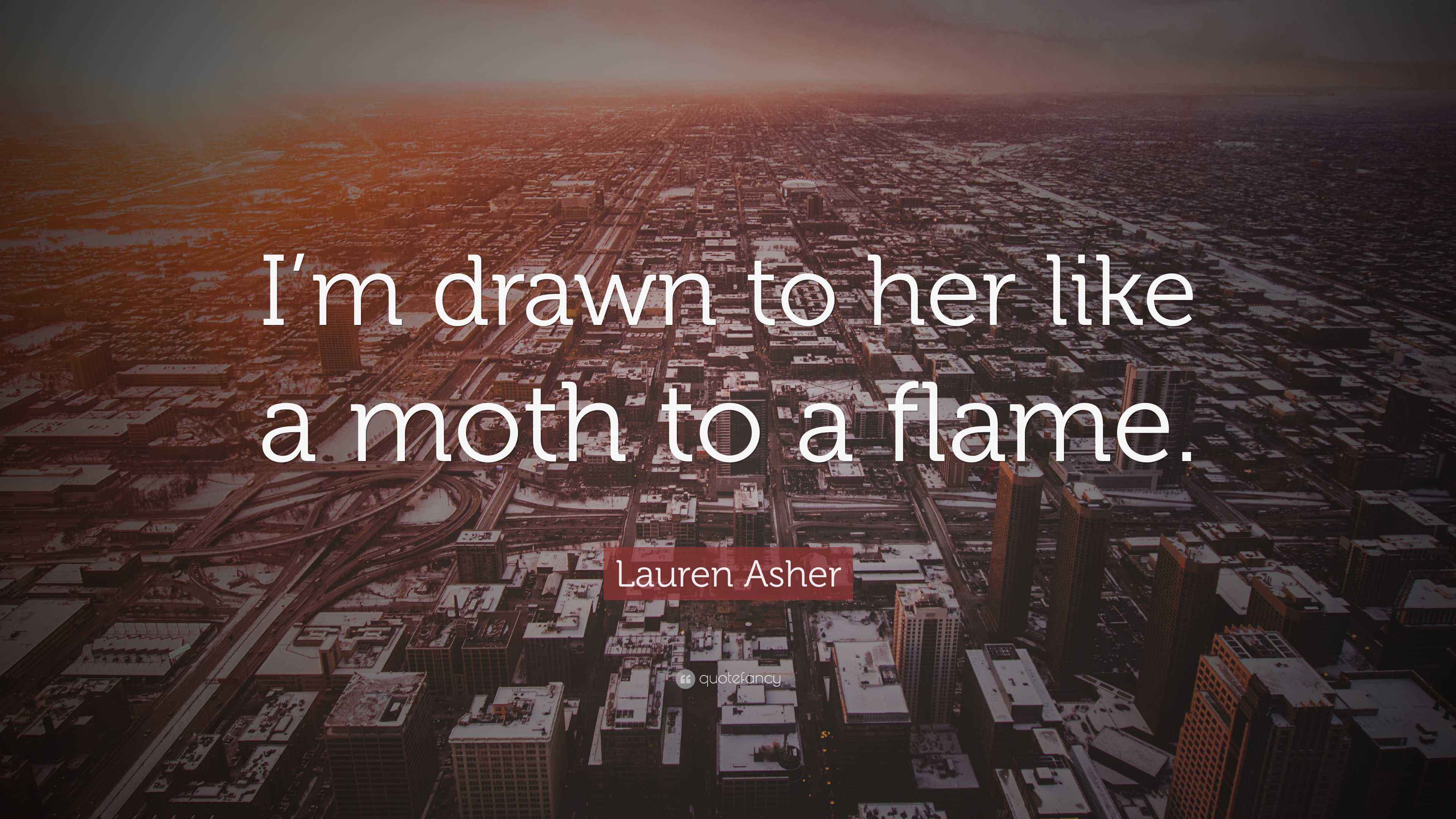 Lauren Asher Quote: “I’m drawn to her like a moth to a flame.”