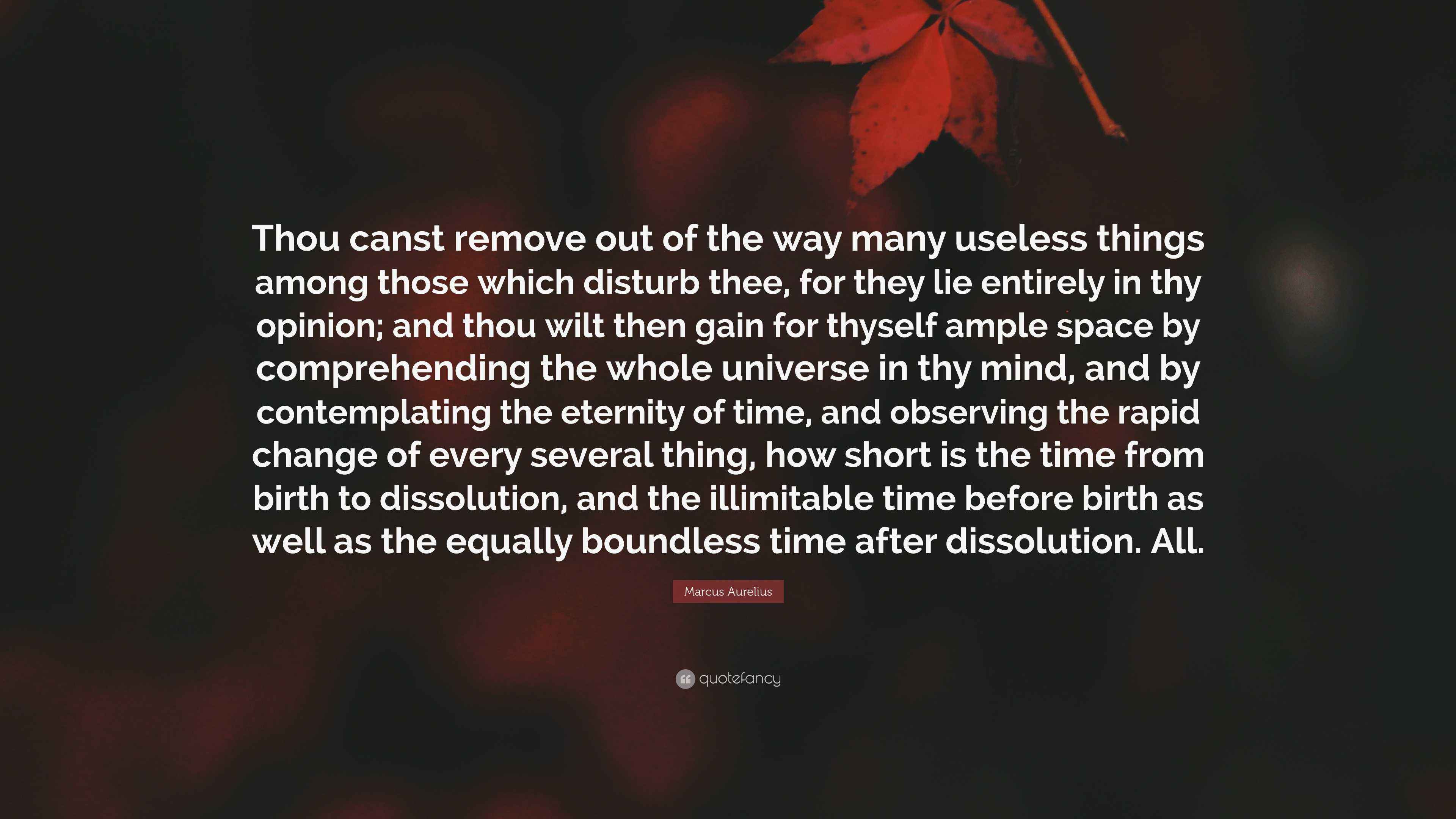 Marcus Aurelius Quote: “Thou canst remove out of the way many useless ...