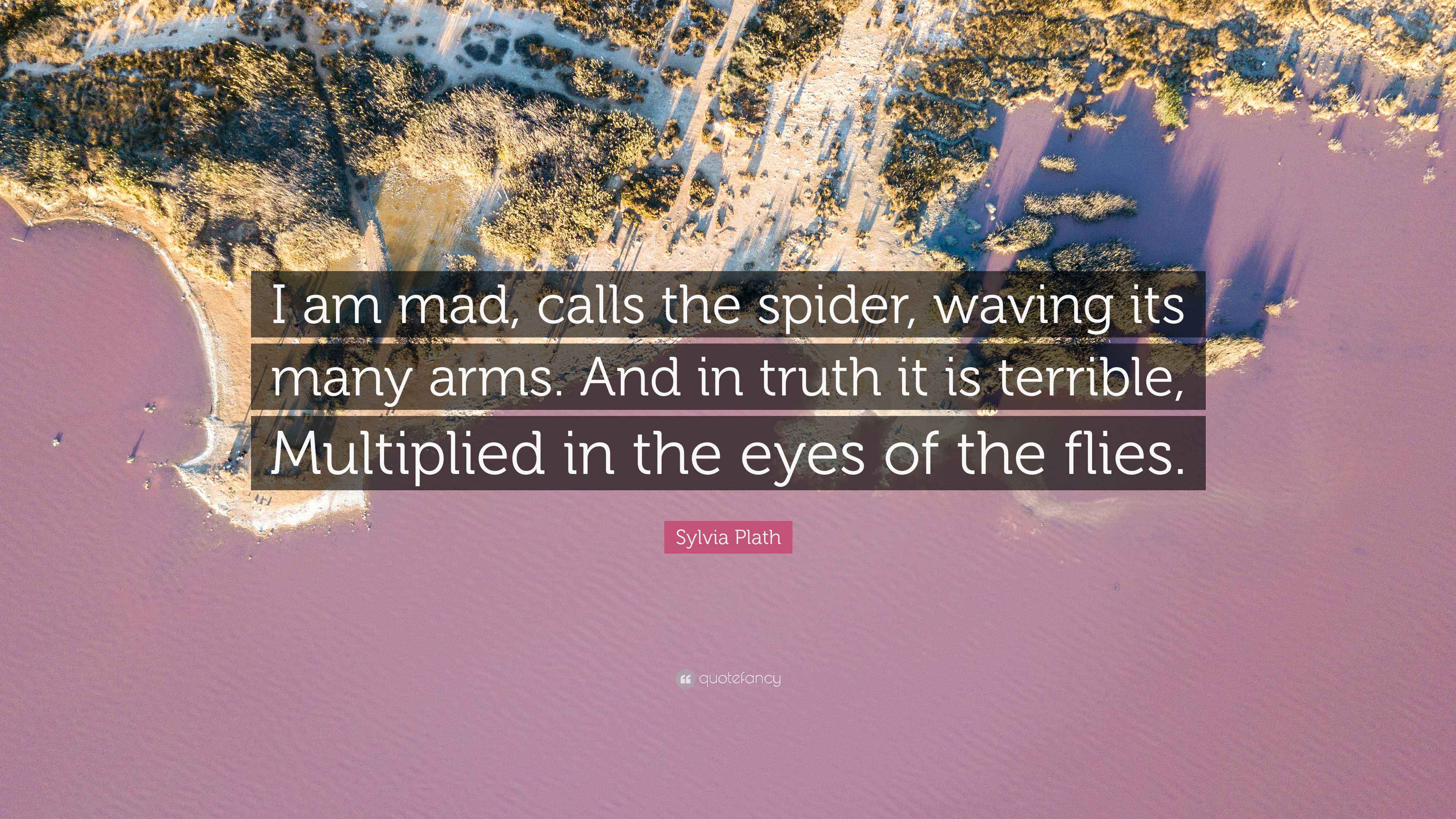 Sylvia Plath Quote: “I am mad, calls the spider, waving its many arms ...