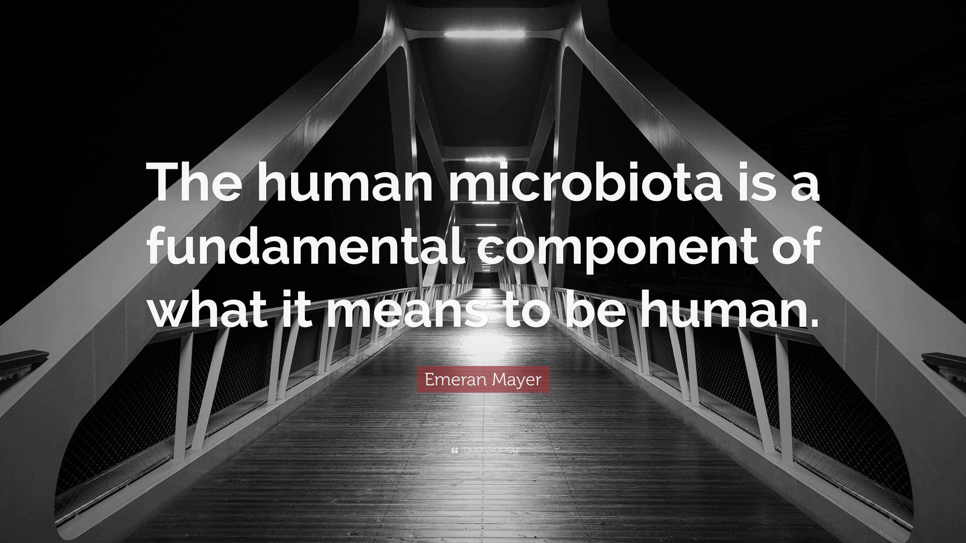 Emeran Mayer Quote: “The human microbiota is a fundamental component of ...