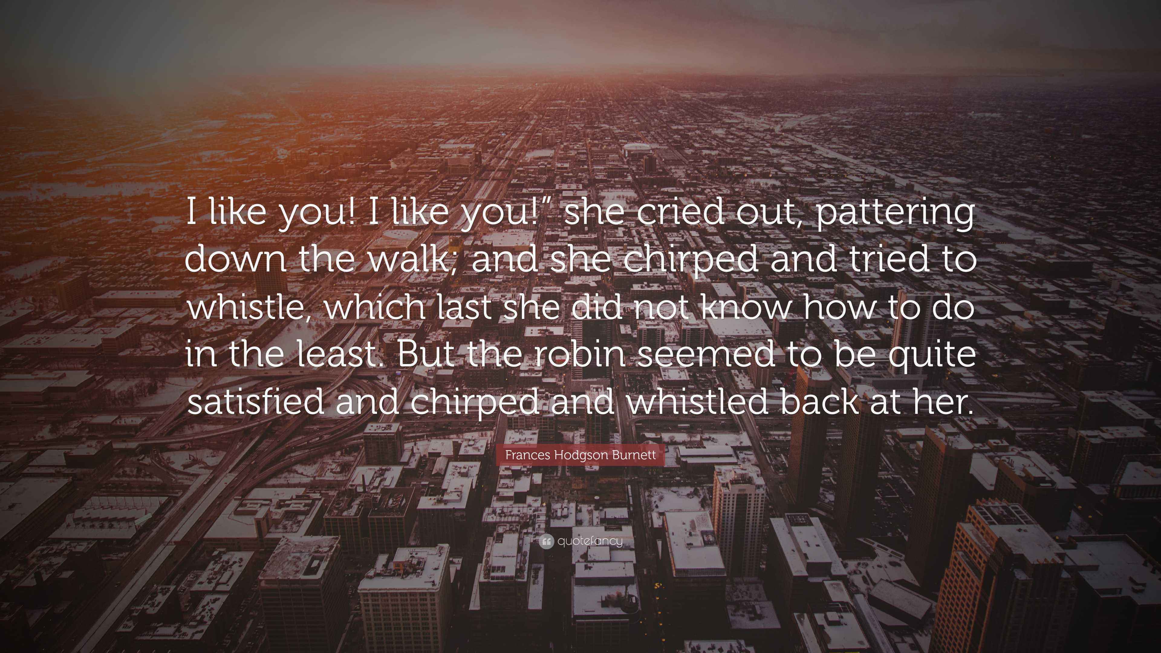 Frances Hodgson Burnett Quote: “I like you! I like you!” she cried out ...