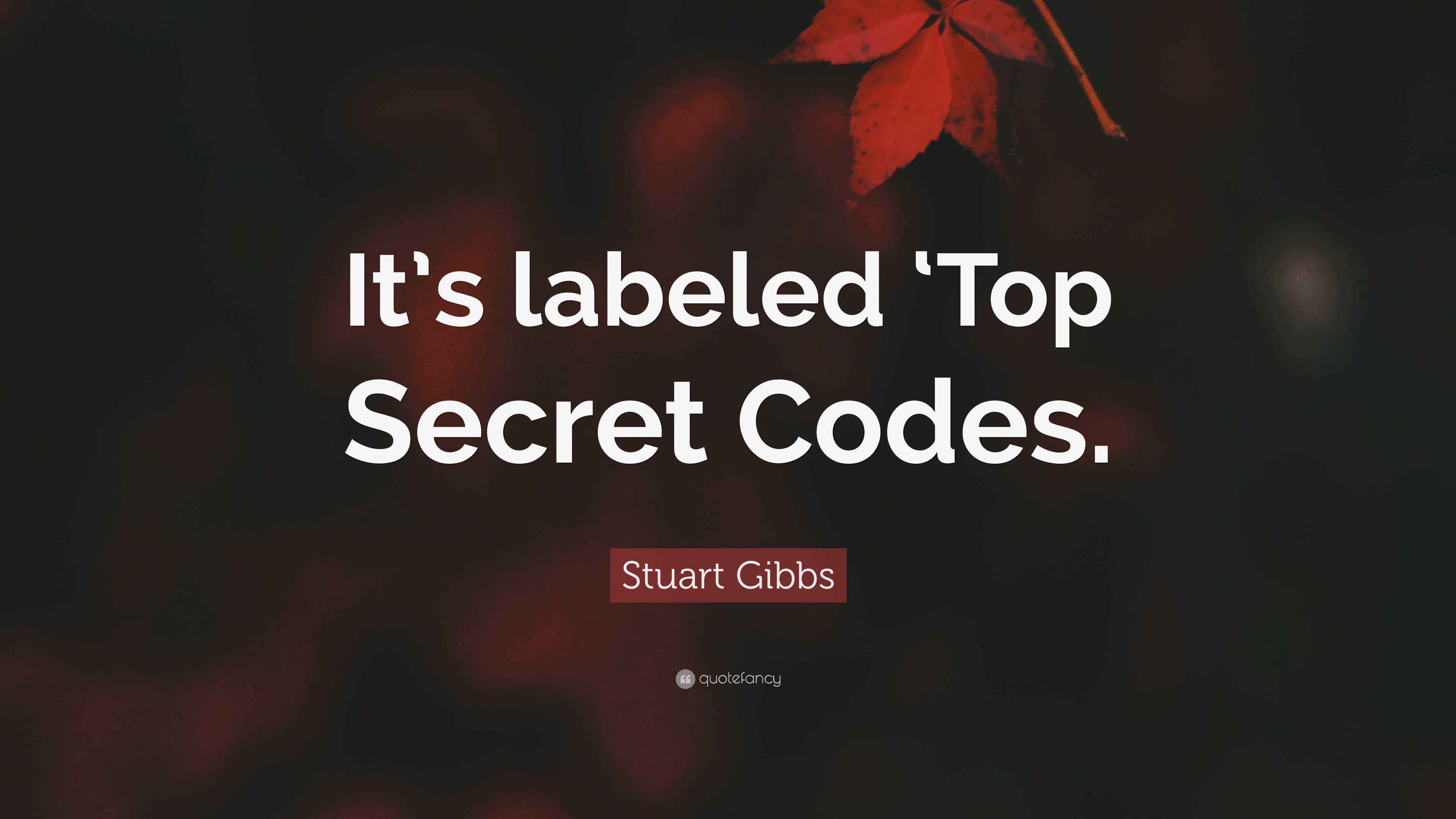 Stuart Gibbs Quote: “It’s labeled ‘Top Secret Codes.”