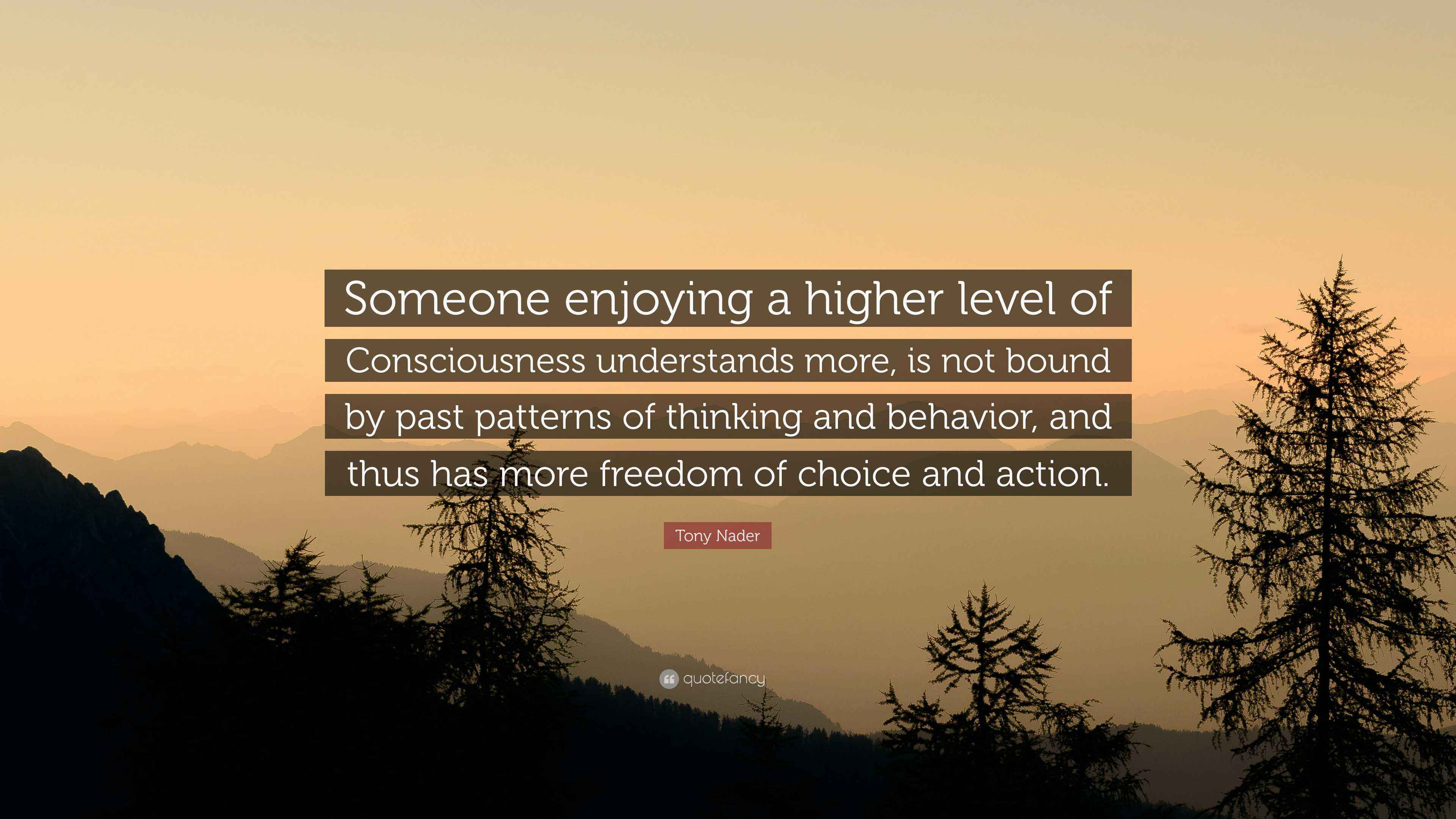 Tony Nader Quote: “Someone enjoying a higher level of Consciousness ...