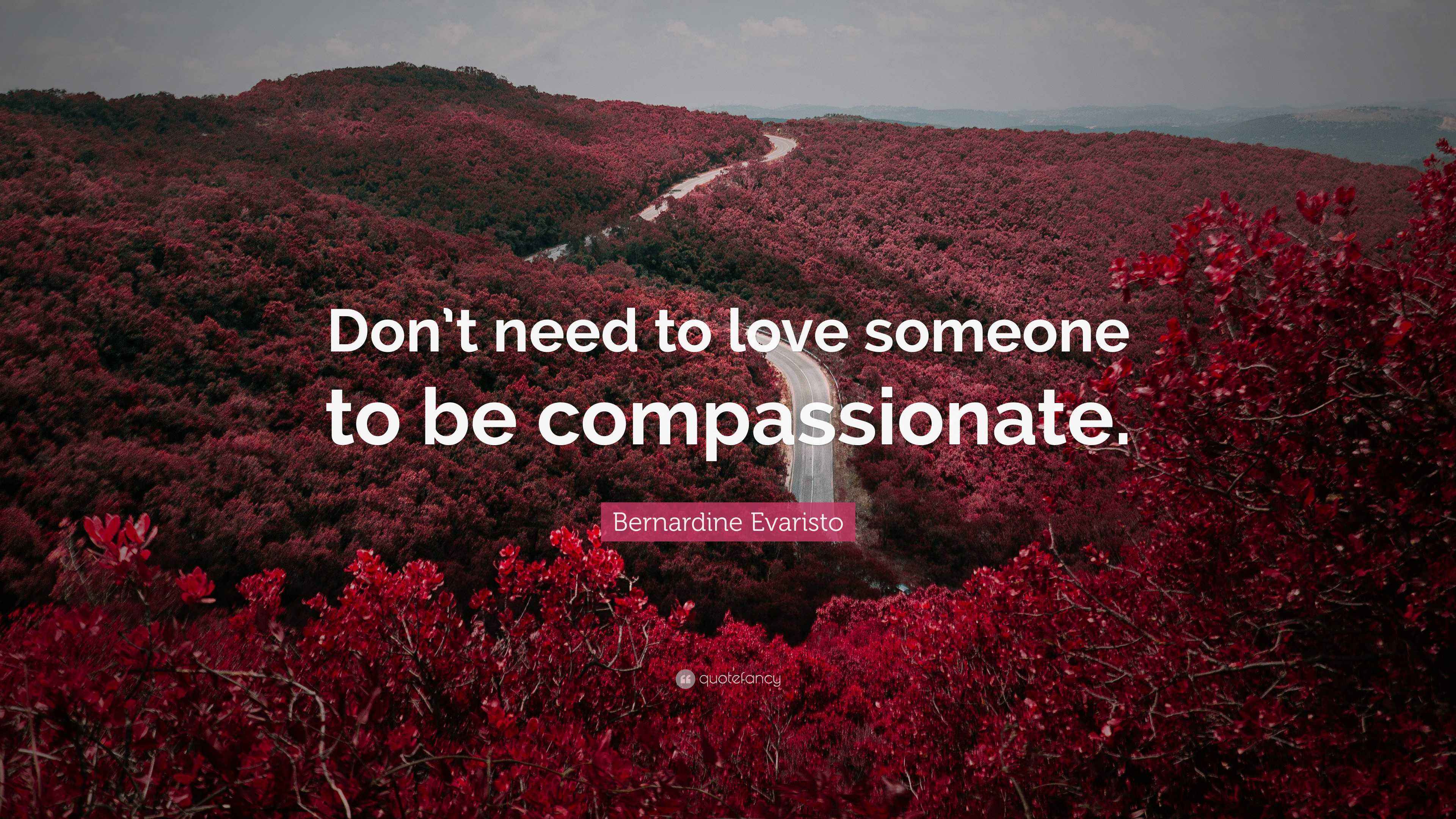 Bernardine Evaristo Quote: “Don’t need to love someone to be ...