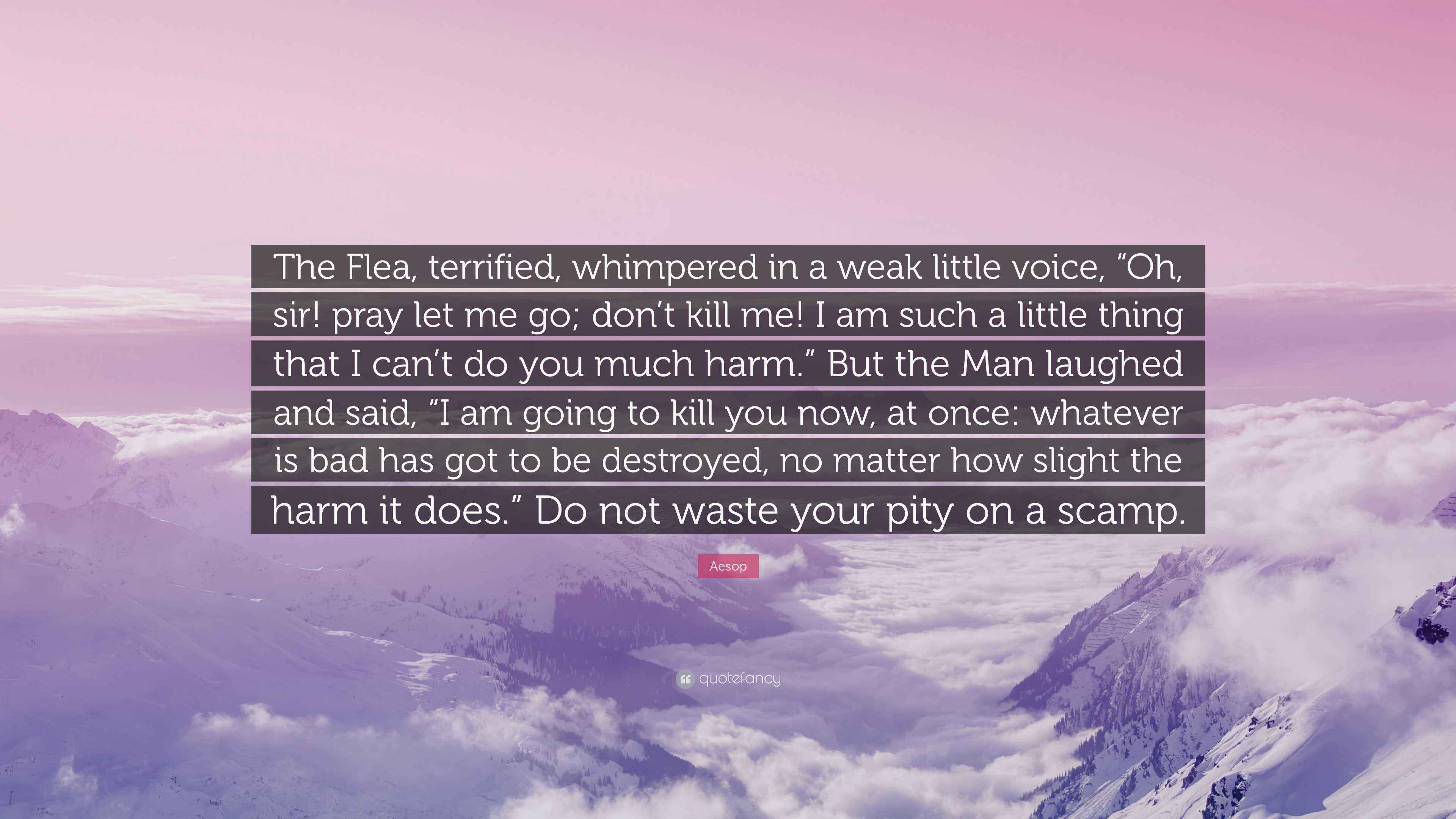 Aesop Quote: “The Flea, terrified, whimpered in a weak little voice ...