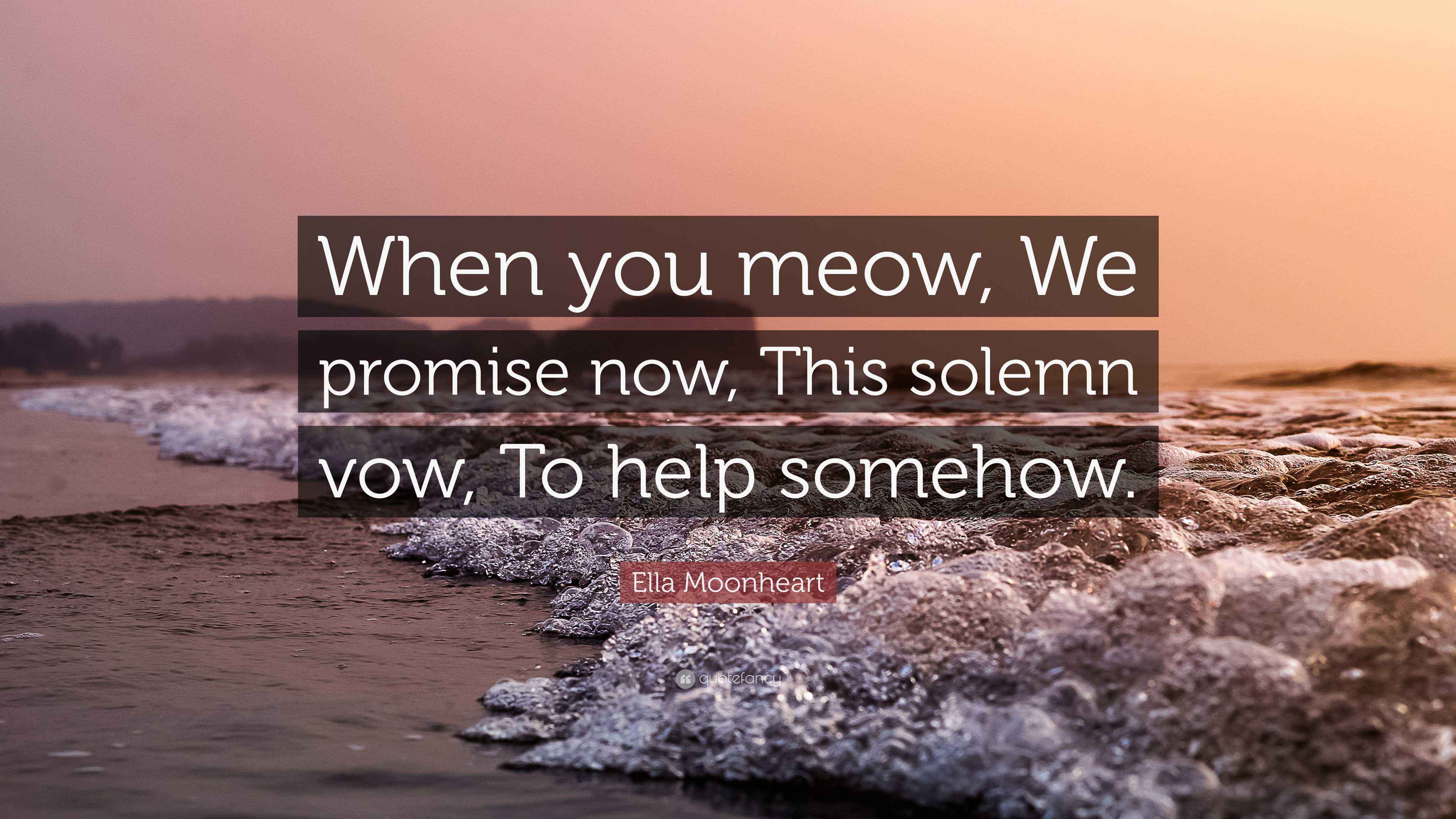Ella Moonheart Quote: “When you meow, We promise now, This solemn vow ...