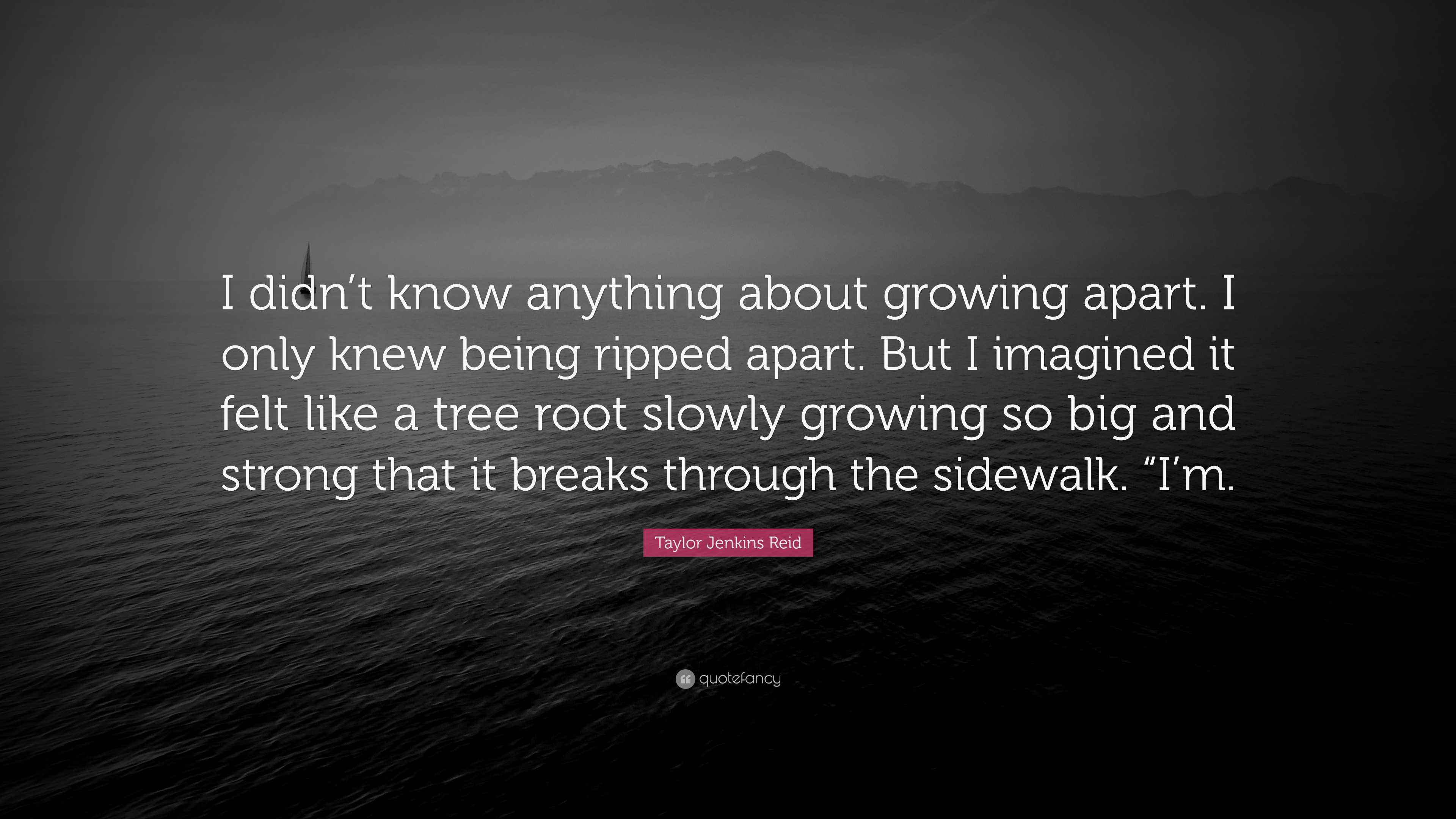 Taylor Jenkins Reid Quote: “I didn’t know anything about growing apart ...