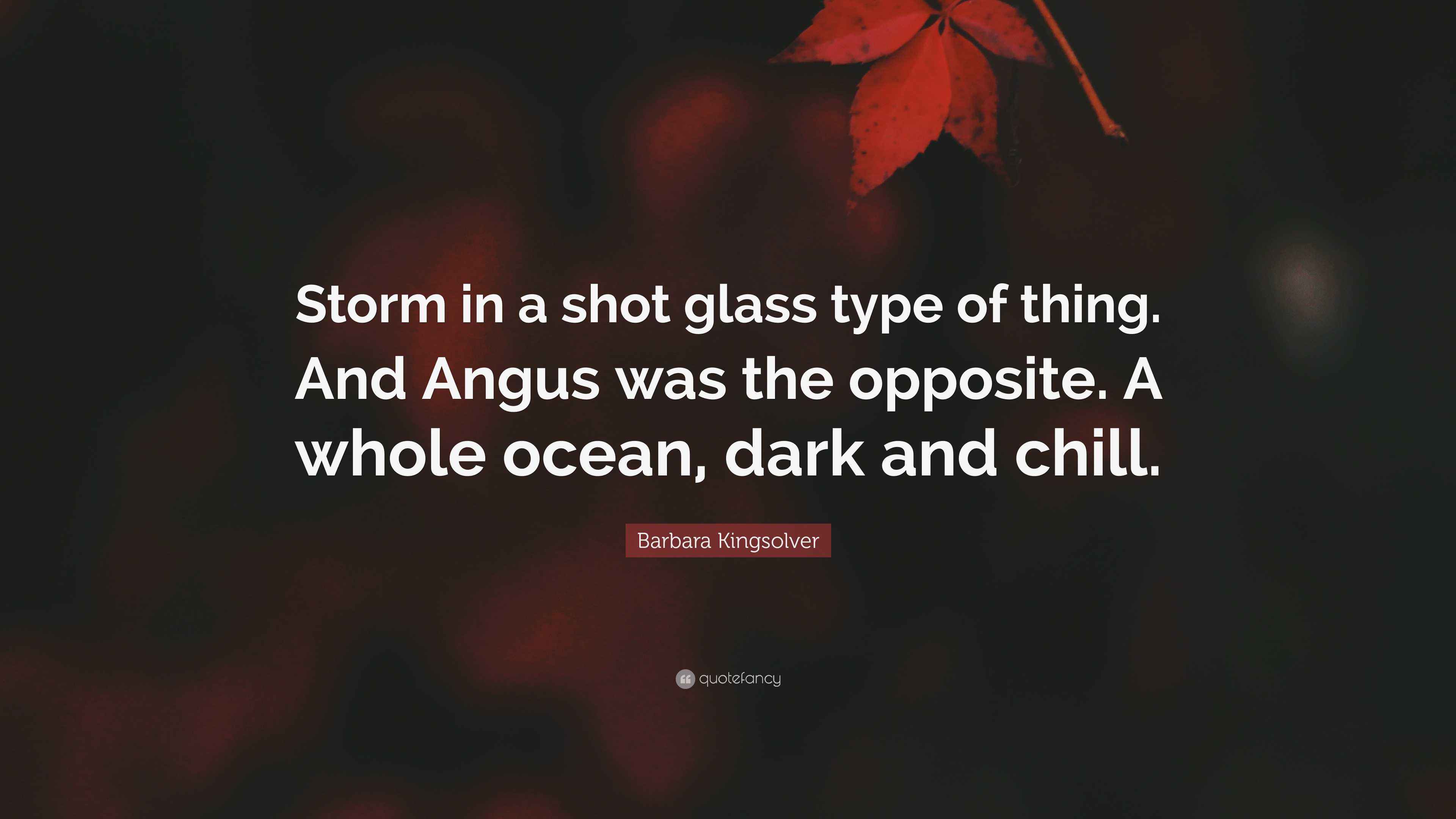 Barbara Kingsolver Quote: “Storm in a shot glass type of thing. And ...