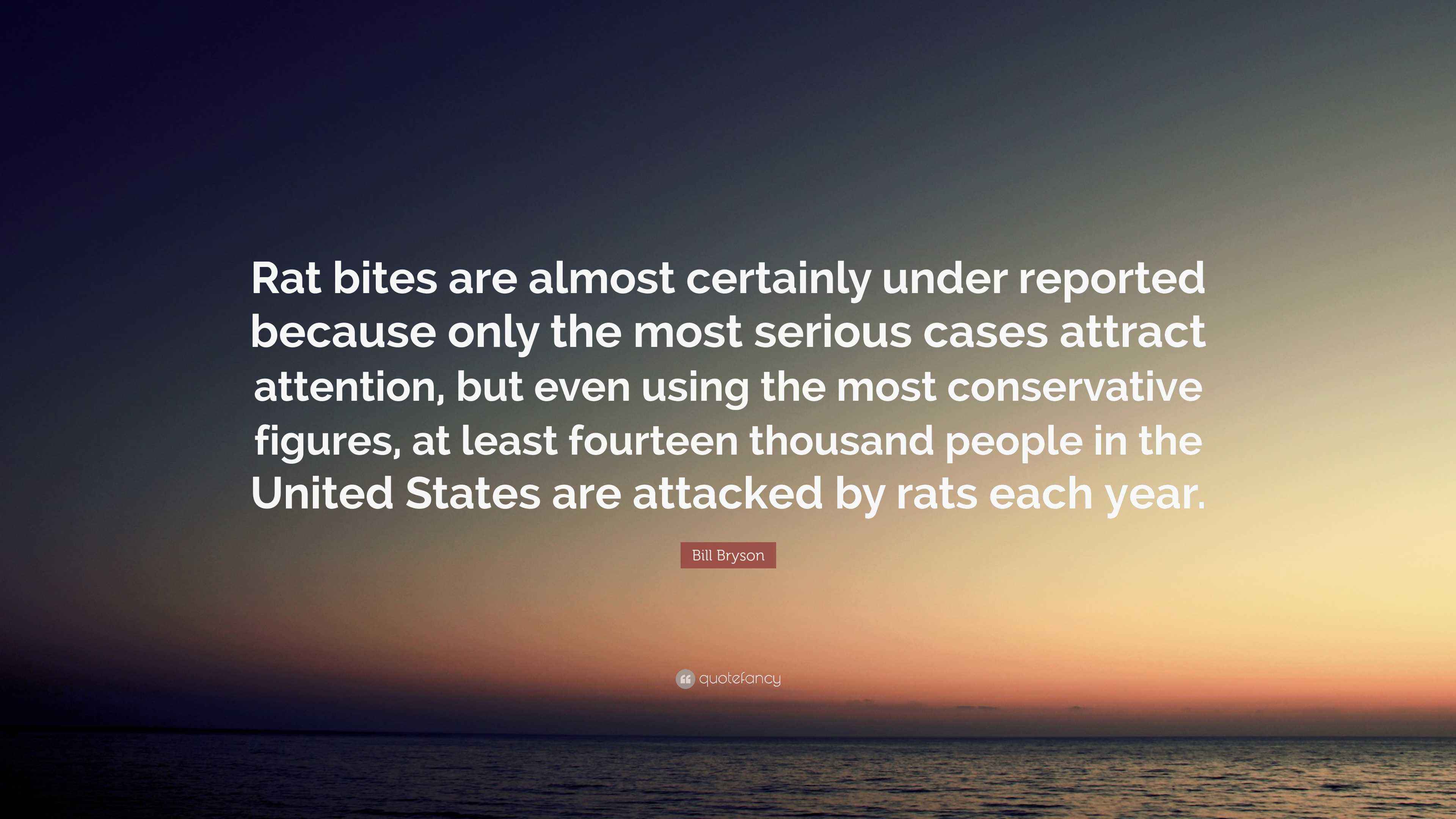 Bill Bryson Quote: “Rat bites are almost certainly under reported ...