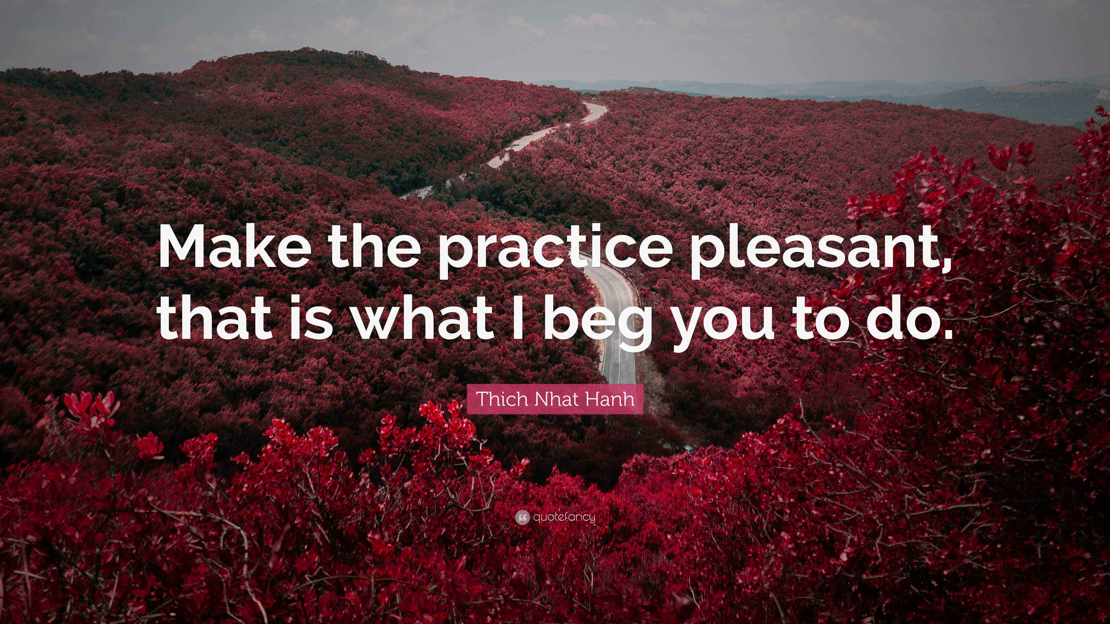 Thich Nhat Hanh Quote: “Make the practice pleasant, that is what I beg ...