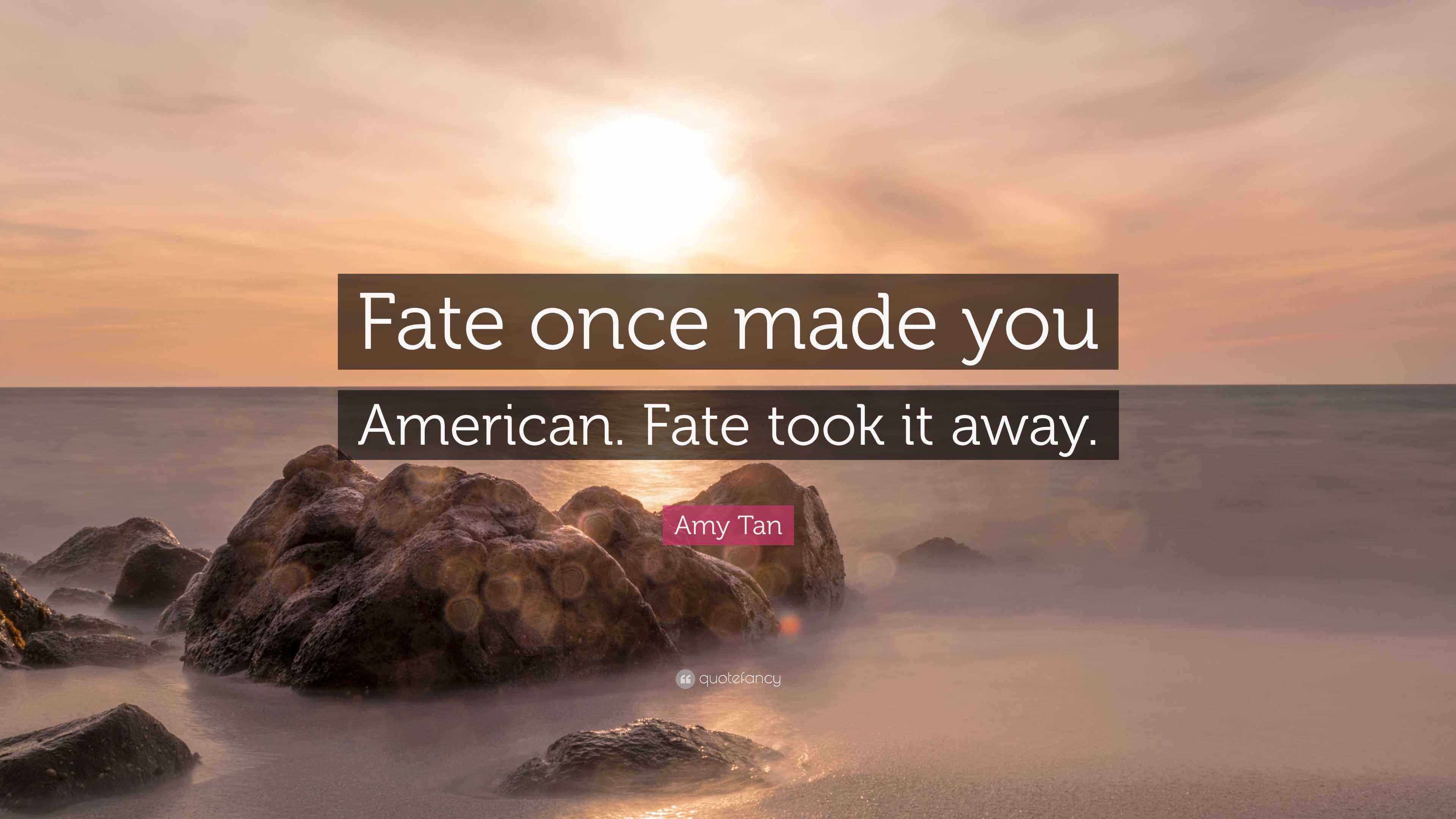 Amy Tan Quote: “Fate once made you American. Fate took it away.”
