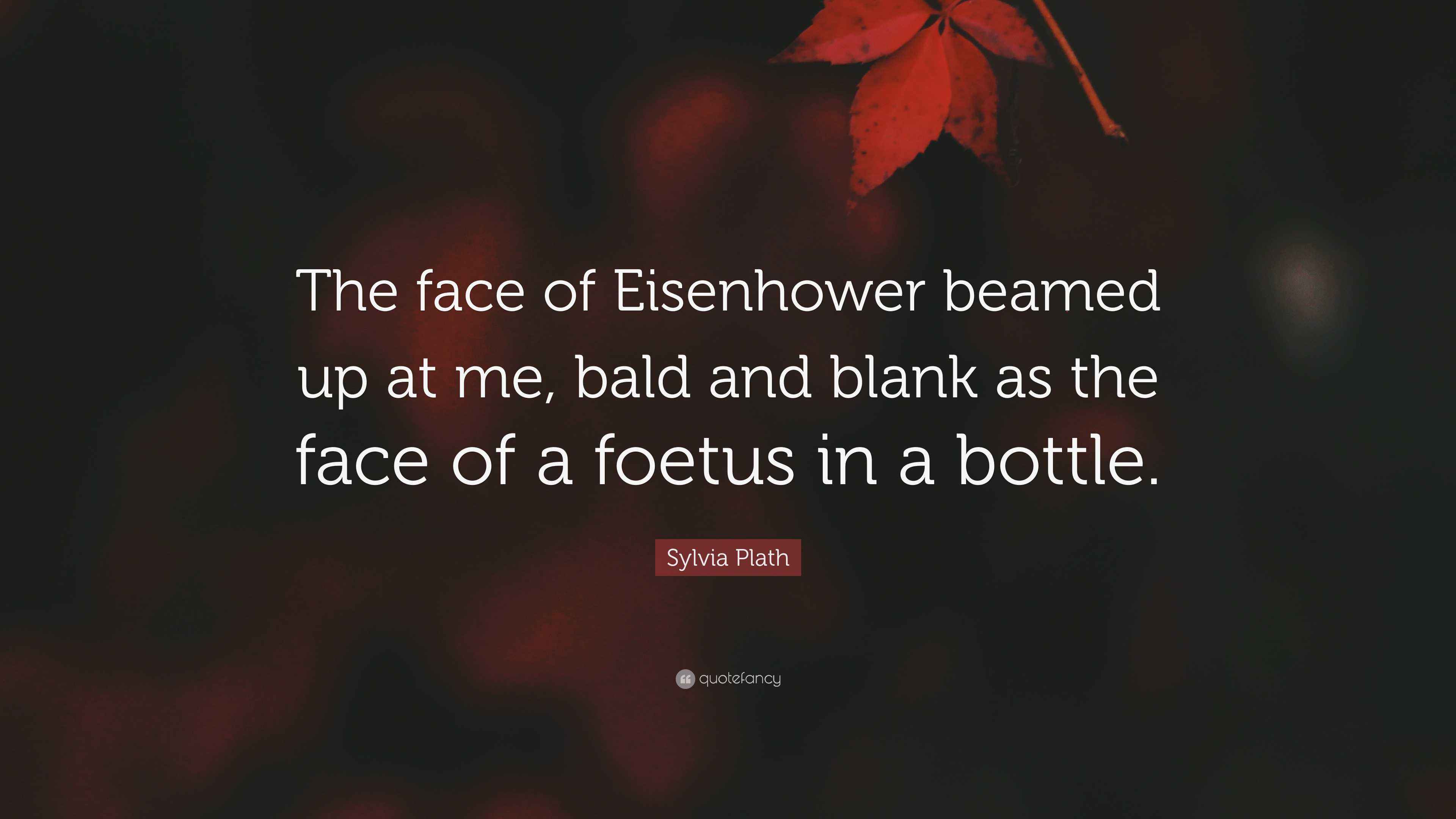Sylvia Plath Quote: “The face of Eisenhower beamed up at me, bald and ...