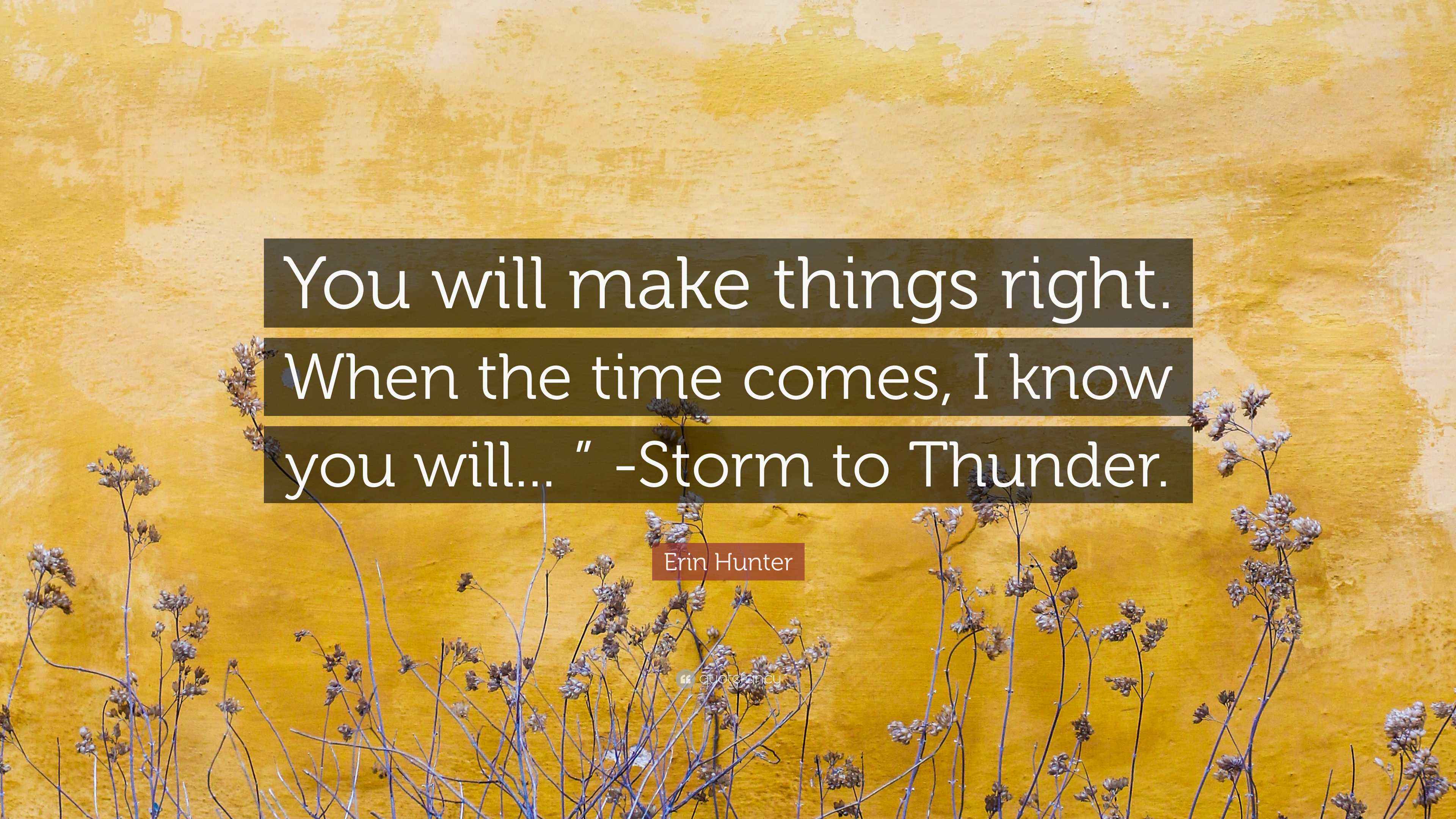 Erin Hunter Quote: “You will make things right. When the time comes, I ...