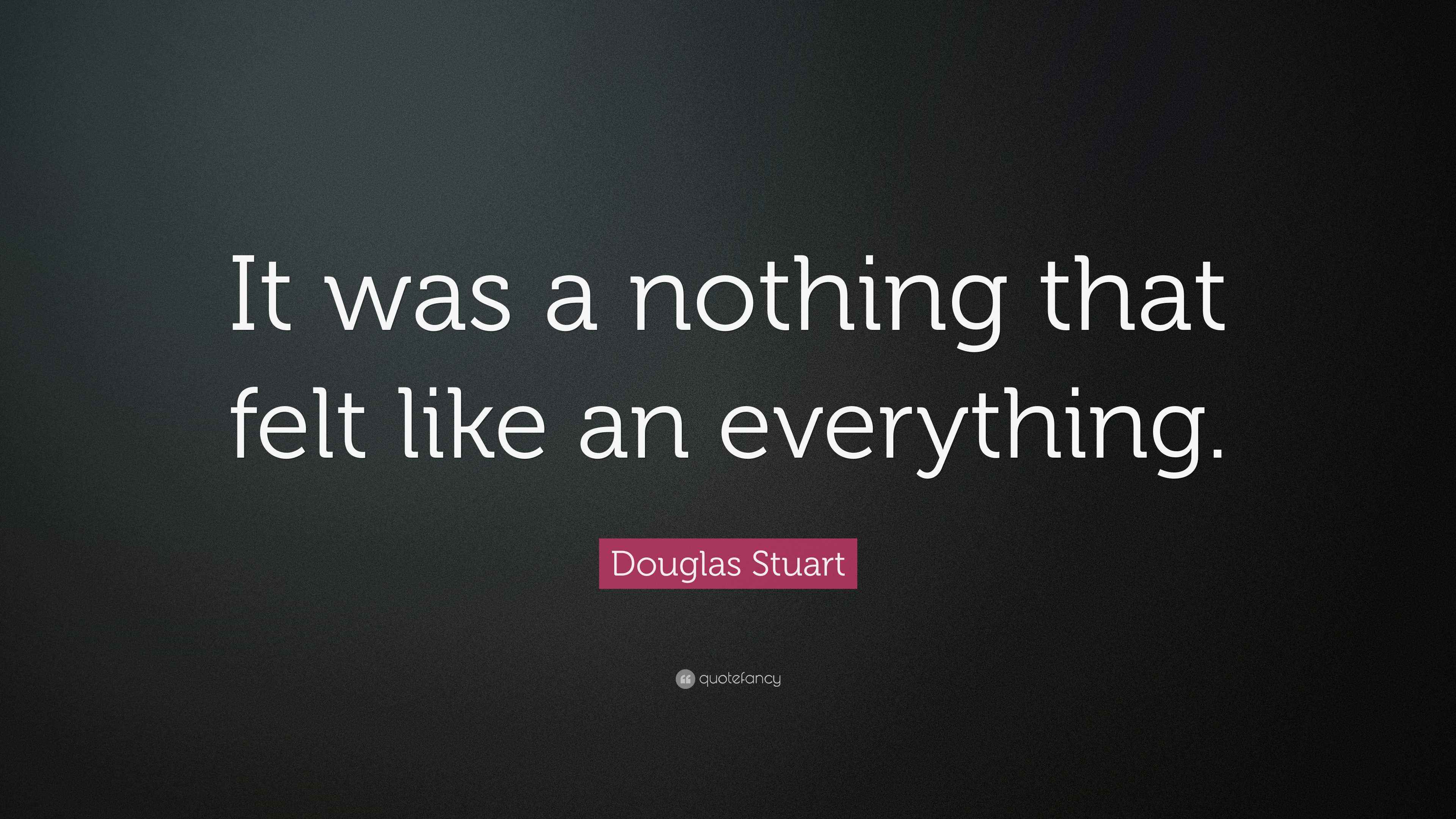 Douglas Stuart Quote: “It was a nothing that felt like an everything.”