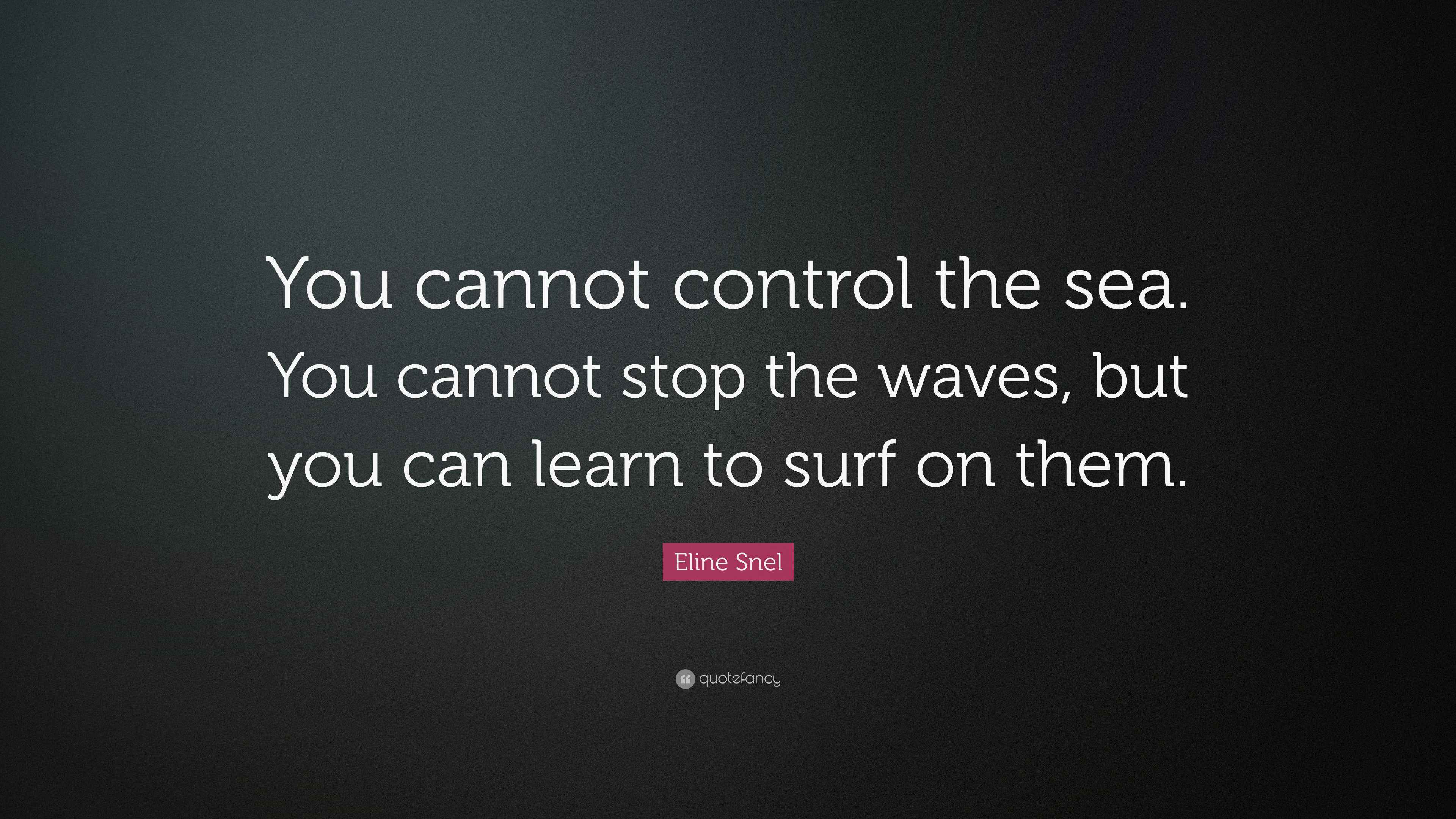 Eline Snel Quote: “You cannot control the sea. You cannot stop the ...