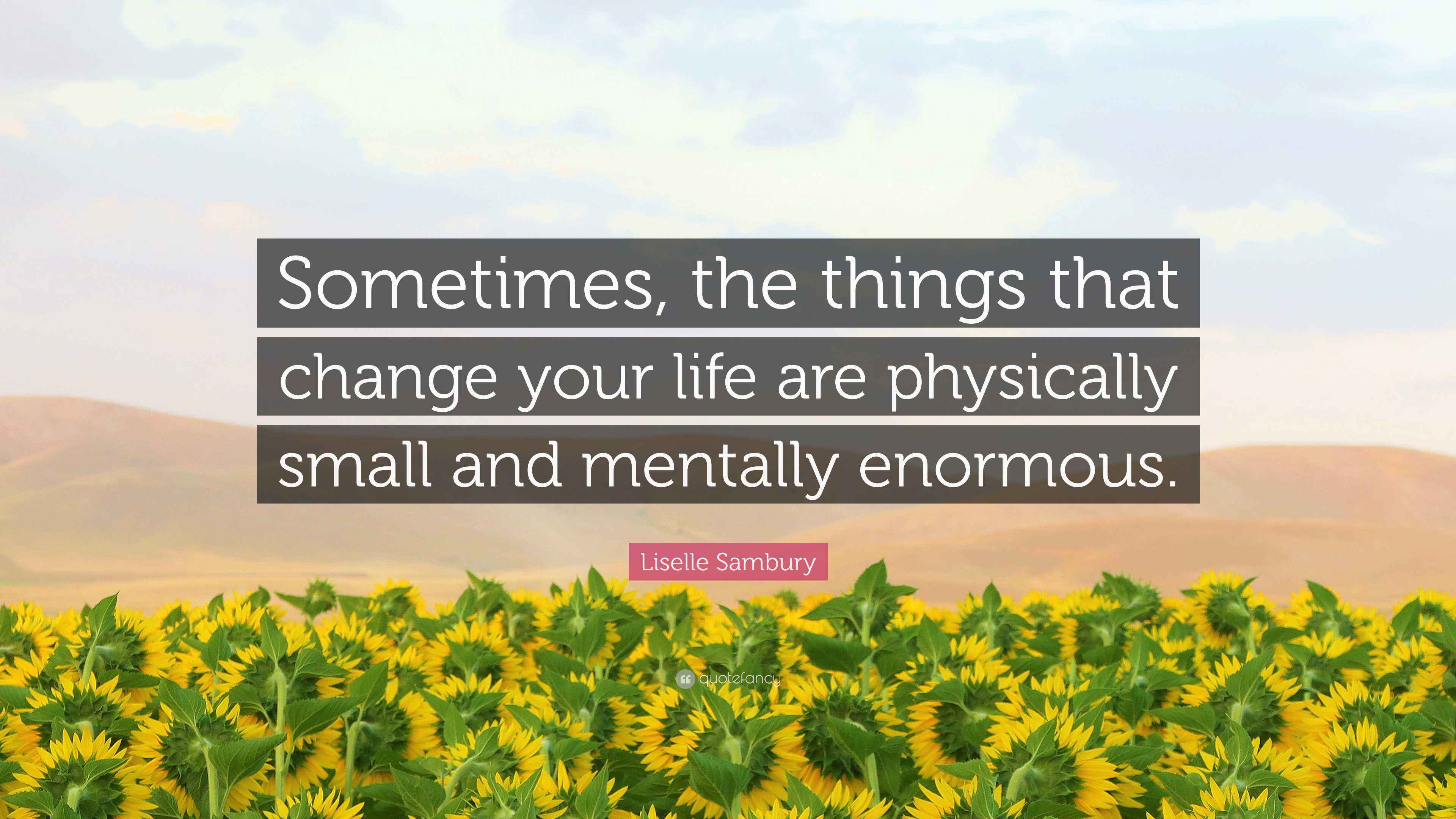 Liselle Sambury Quote: “Sometimes, the things that change your life are ...