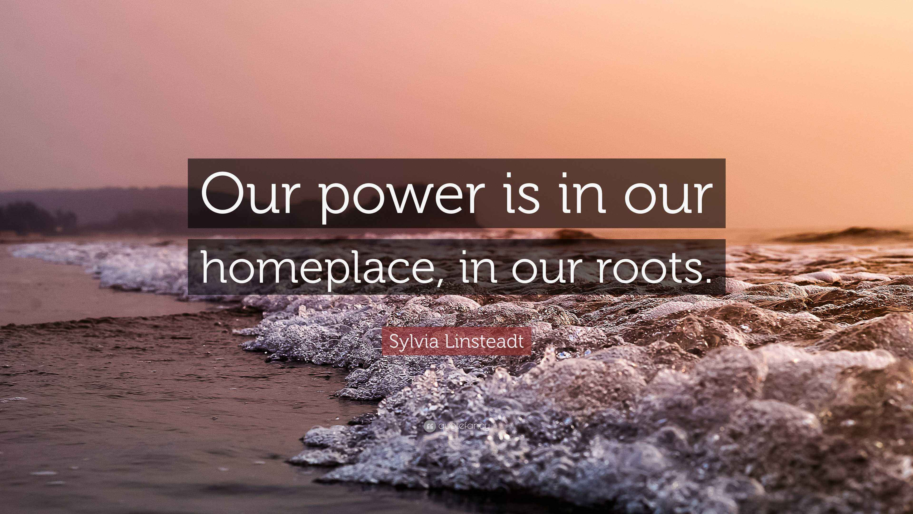 Sylvia Linsteadt Quote: “Our power is in our homeplace, in our roots.”