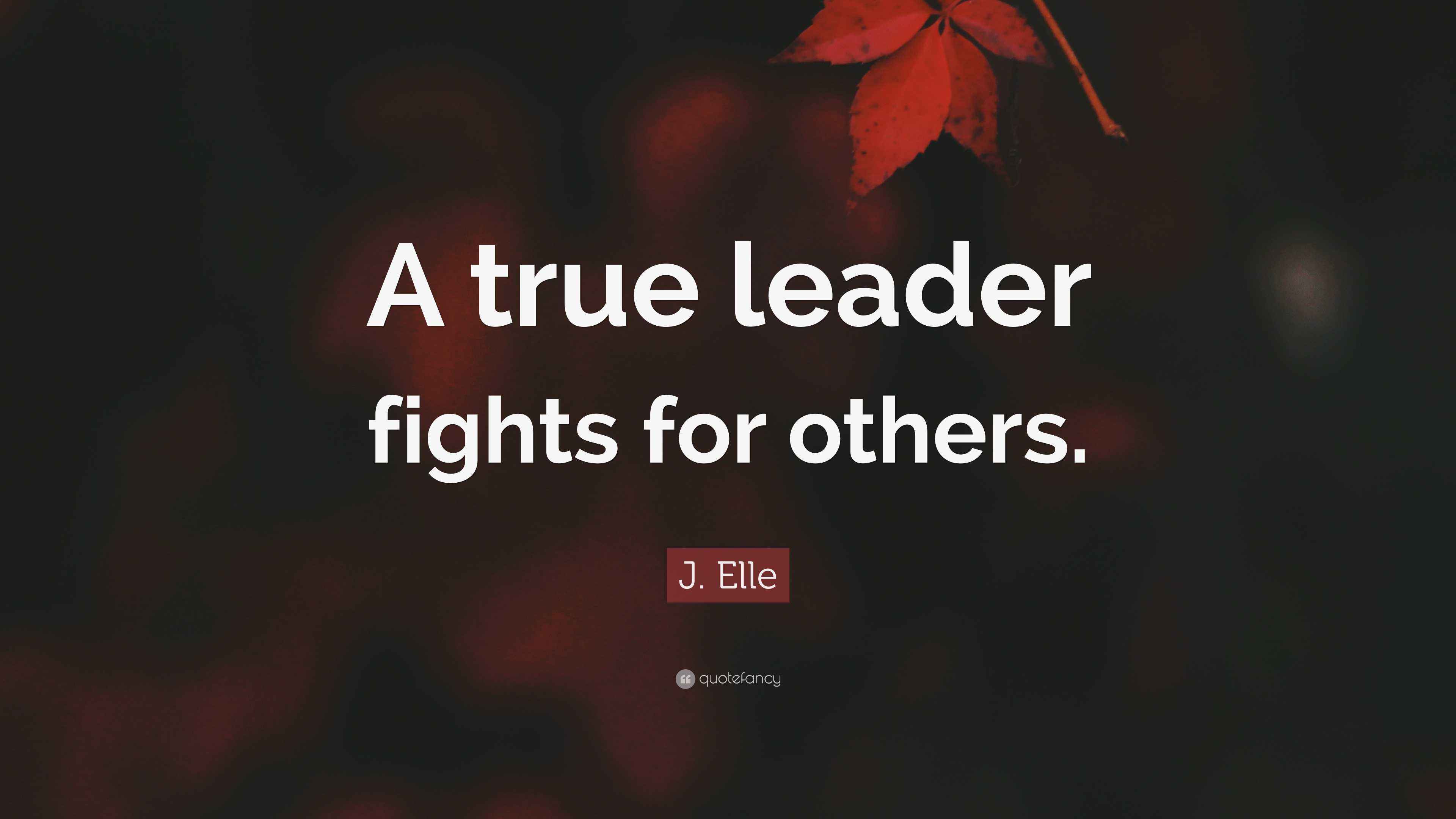 J. Elle Quote: “A true leader fights for others.”