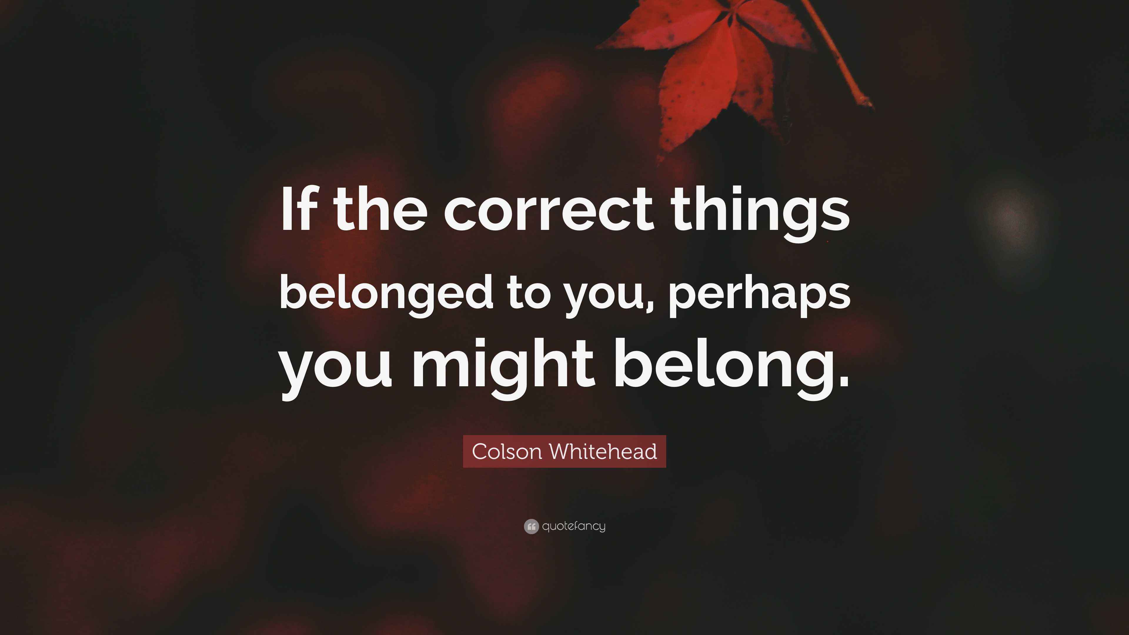 Colson Whitehead Quote: “If the correct things belonged to you, perhaps ...