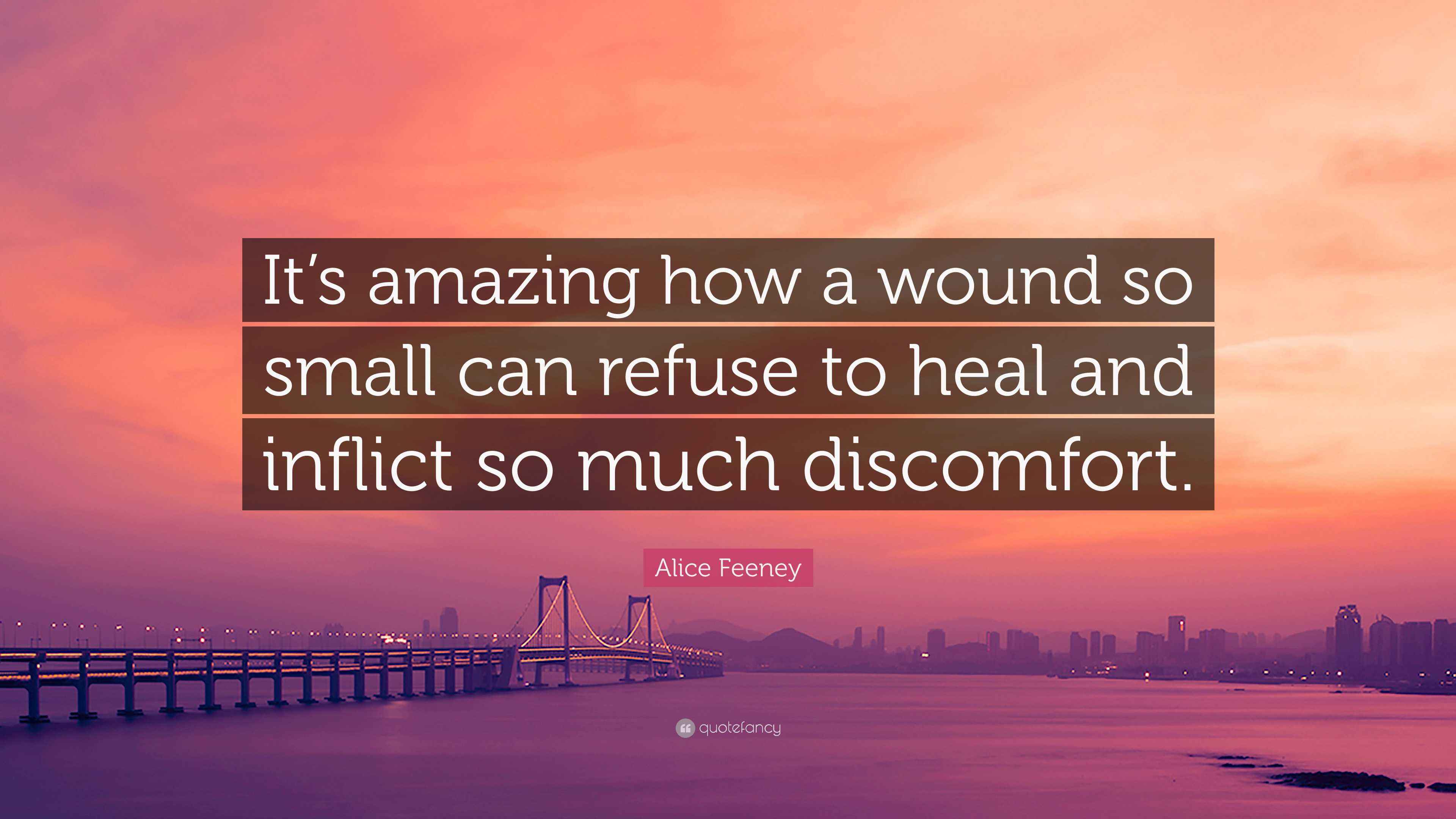 Alice Feeney Quote: “It’s amazing how a wound so small can refuse to ...