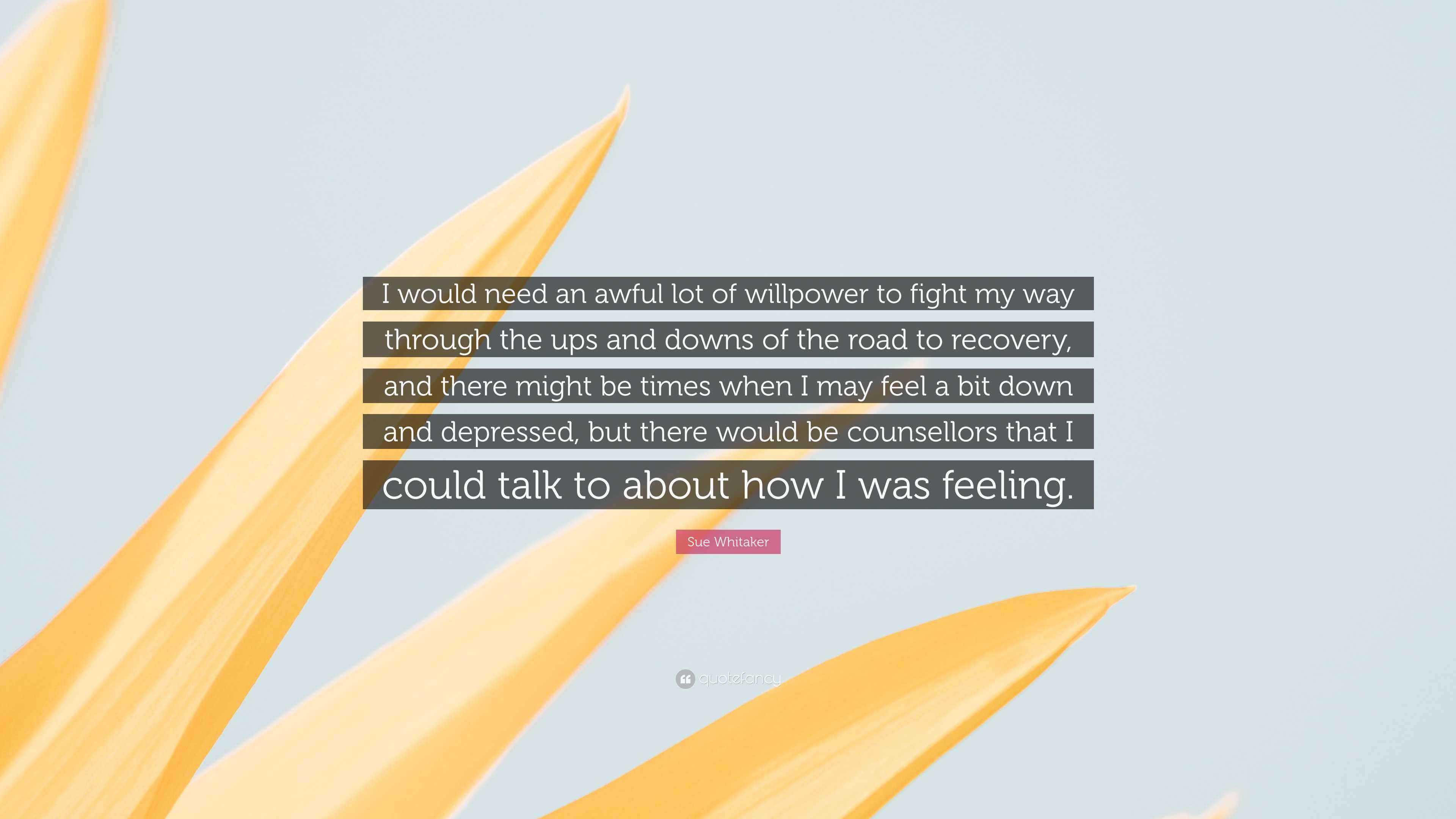 Sue Whitaker Quote: “I would need an awful lot of willpower to fight my ...