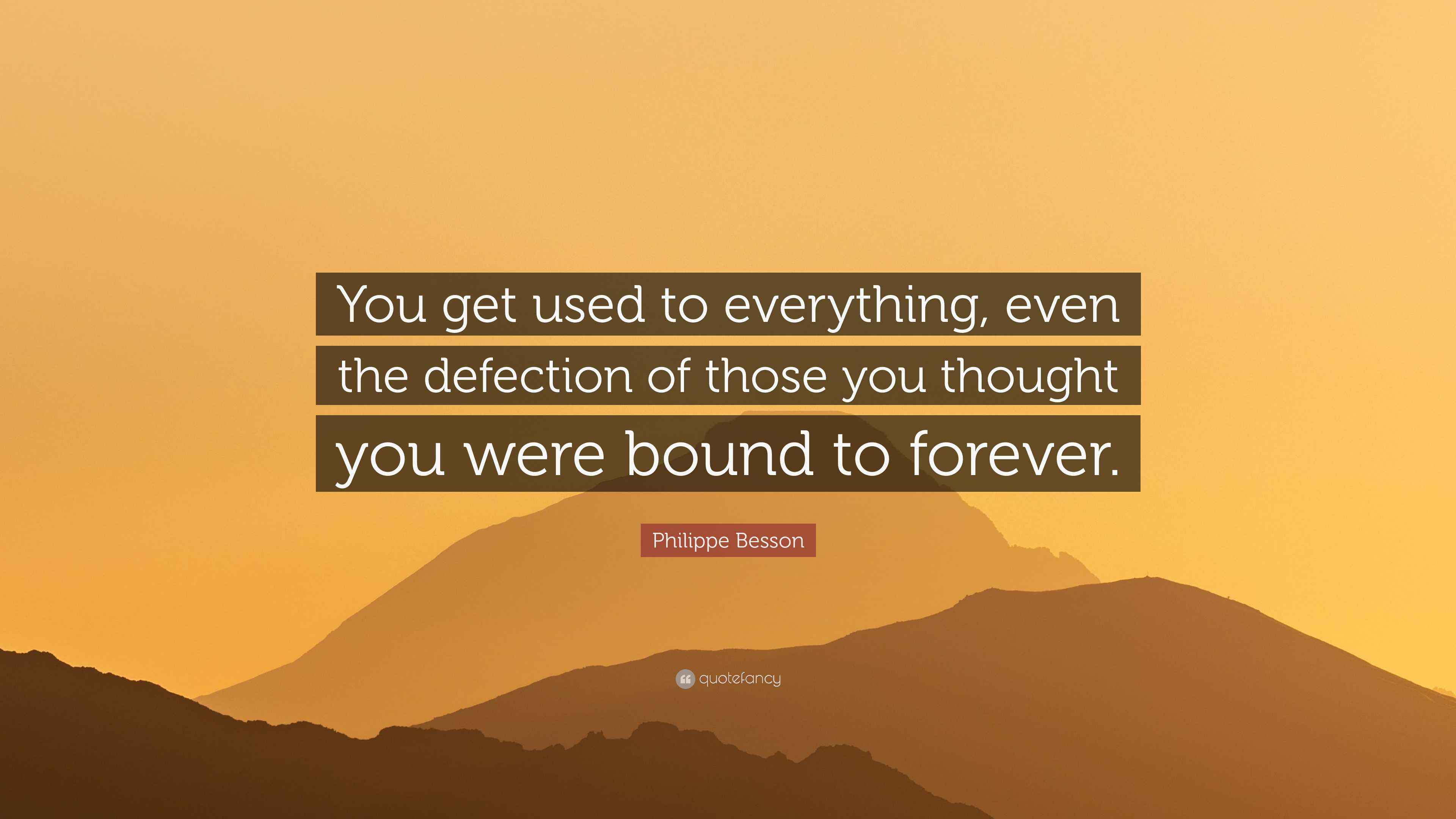 Philippe Besson Quote: “You get used to everything, even the defection ...