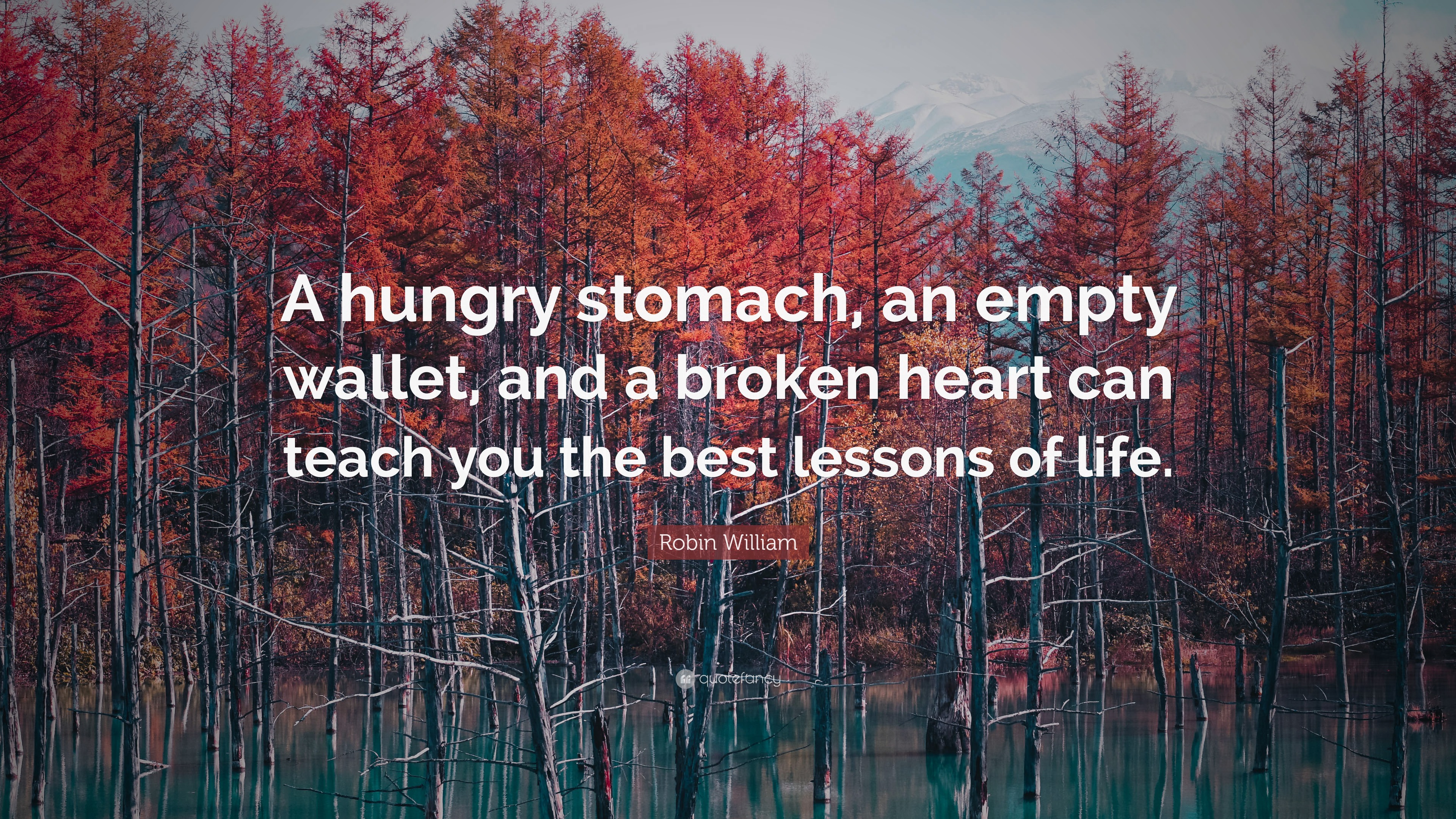 Robin William Quote: “A hungry stomach, an empty wallet, and a broken ...