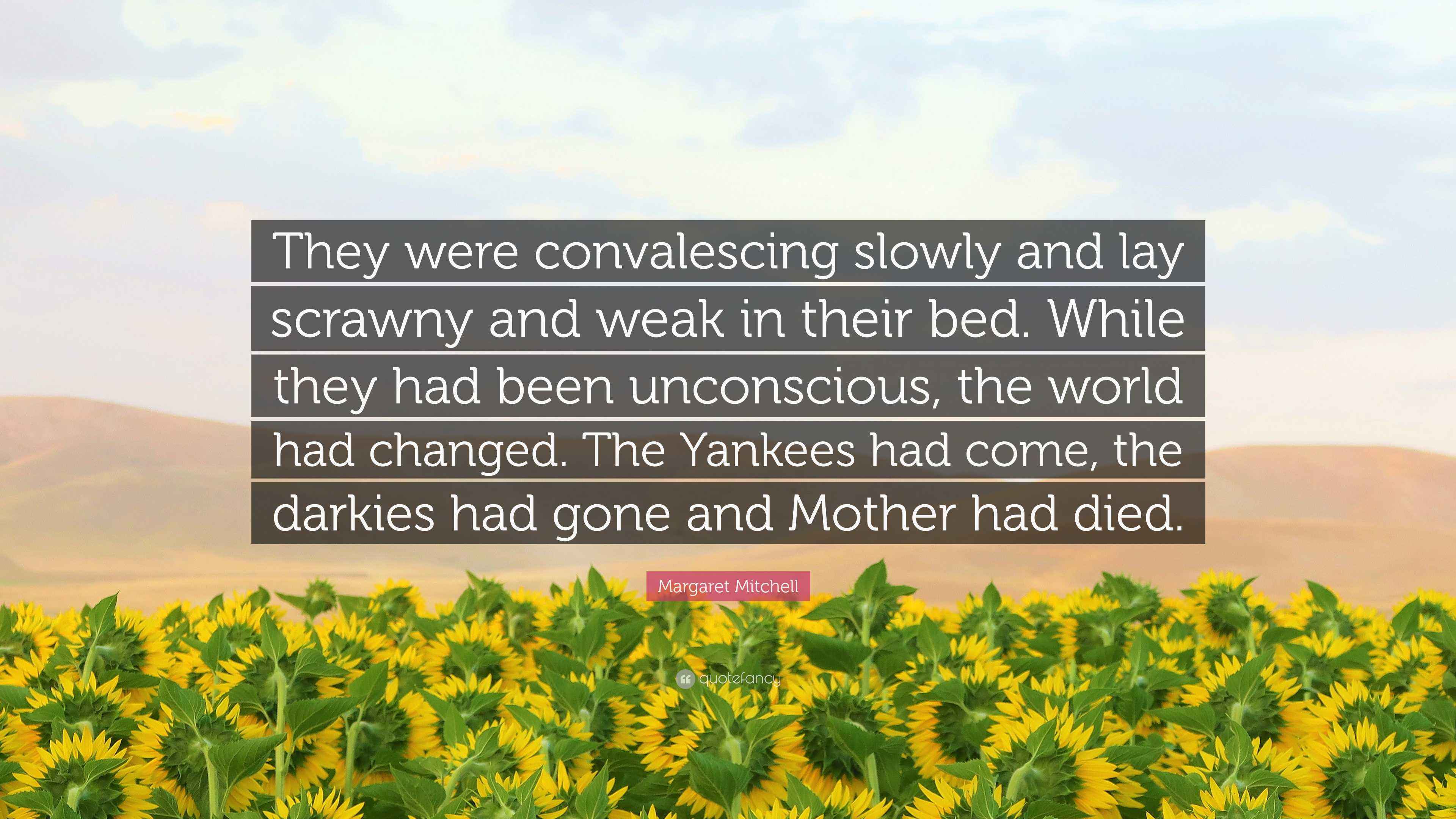 Margaret Mitchell Quote: “They were convalescing slowly and lay scrawny ...
