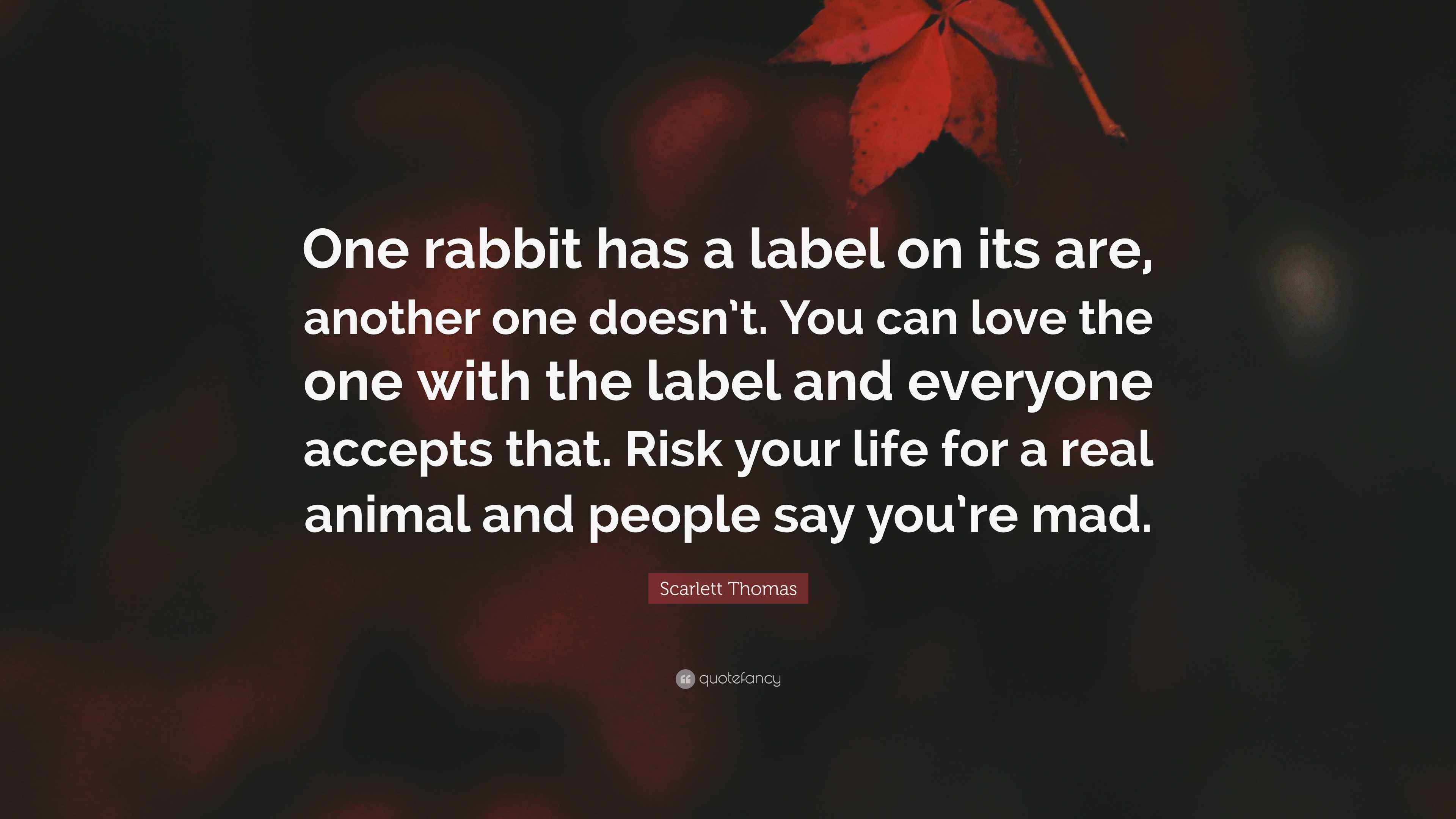 Scarlett Thomas Quote: “One rabbit has a label on its are, another one ...