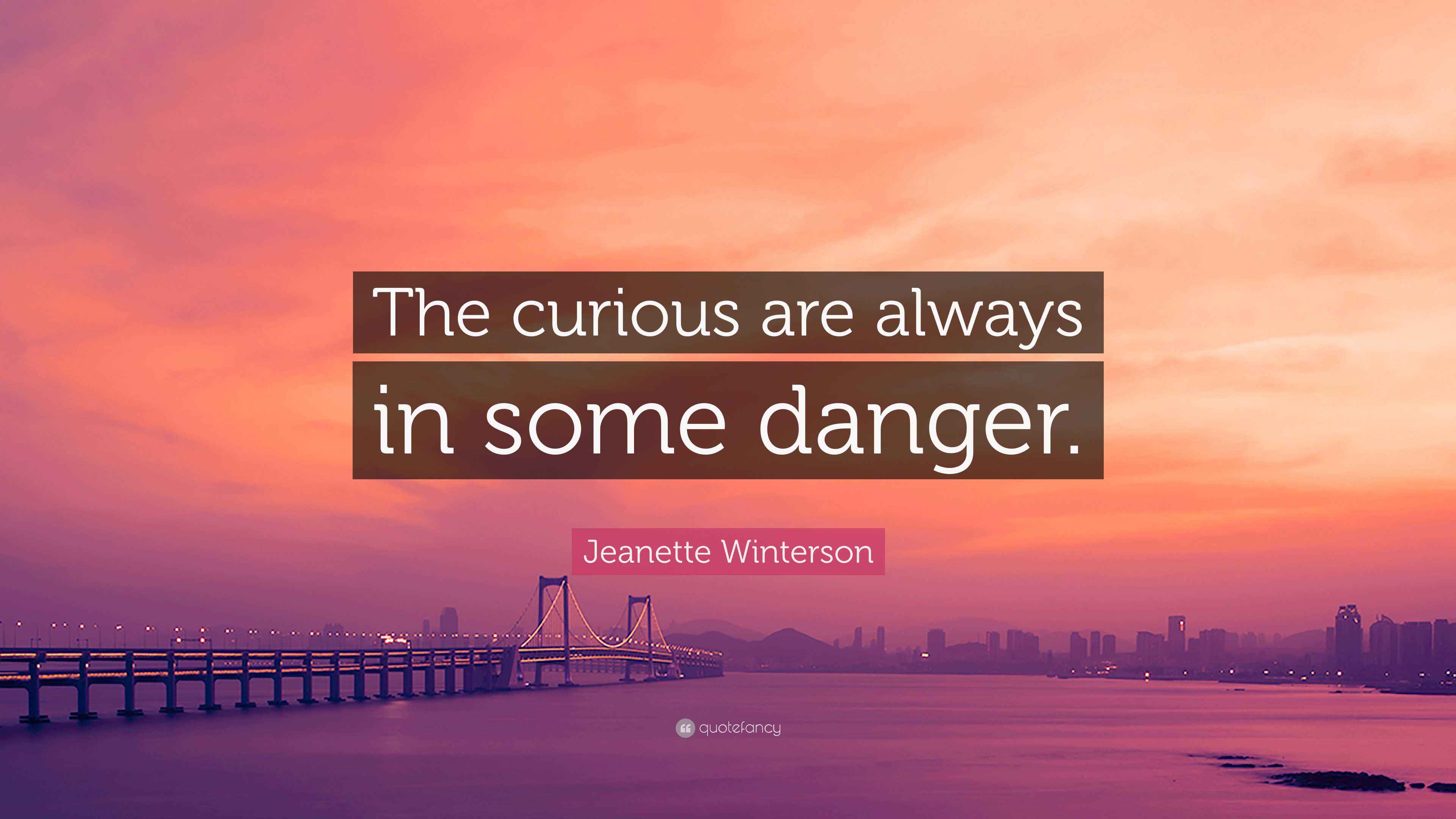Jeanette Winterson Quote: “The curious are always in some danger.”