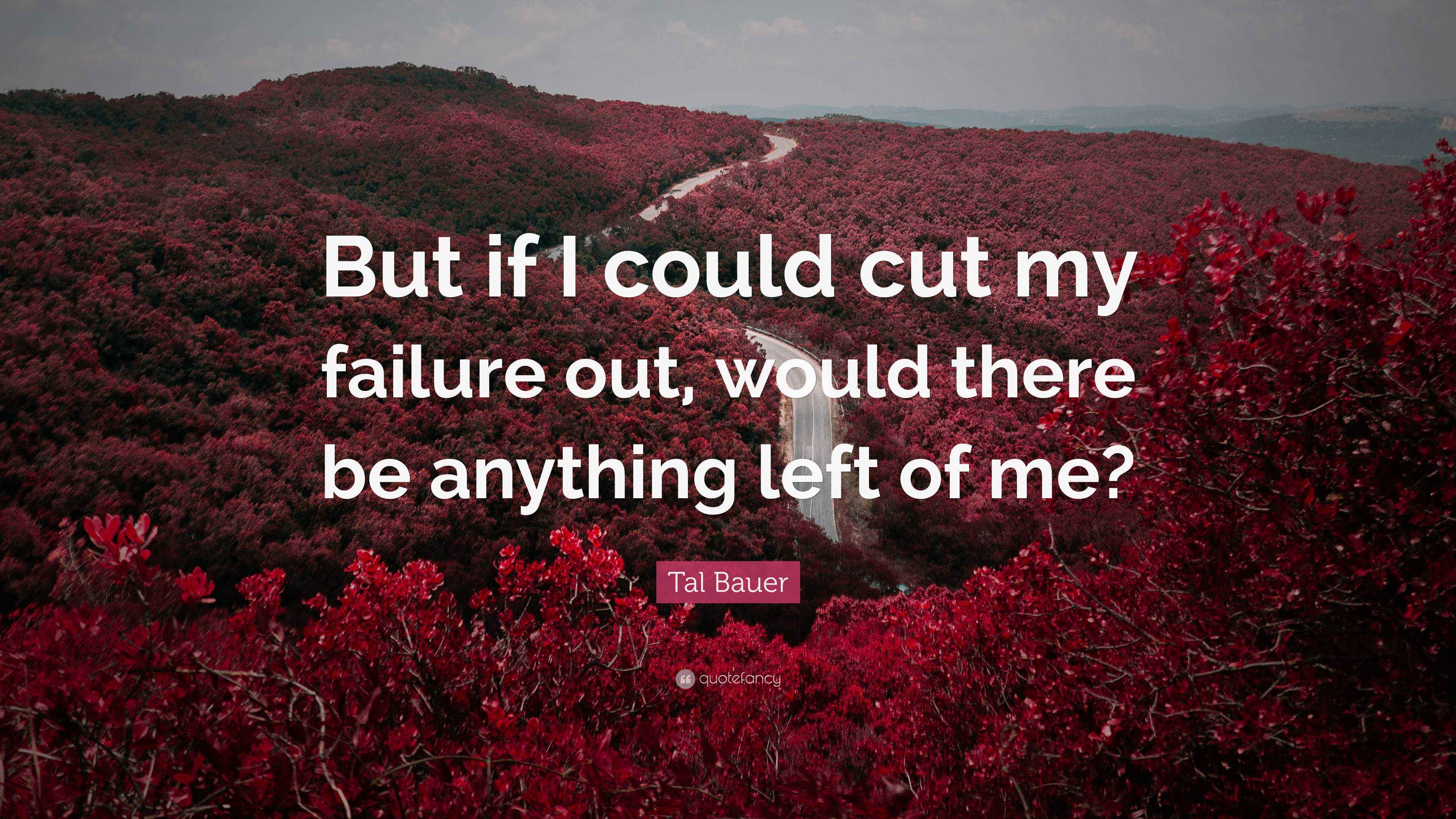 Tal Bauer Quote: “But if I could cut my failure out, would there be ...