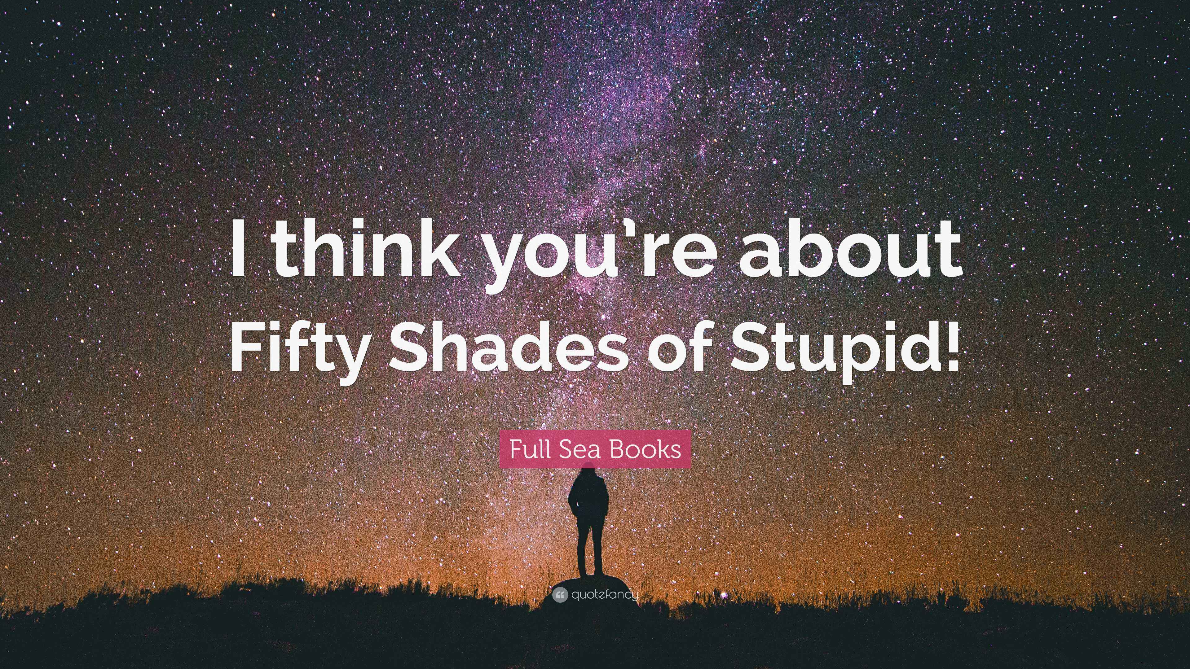 Full Sea Books Quote: “I think you’re about Fifty Shades of Stupid!”