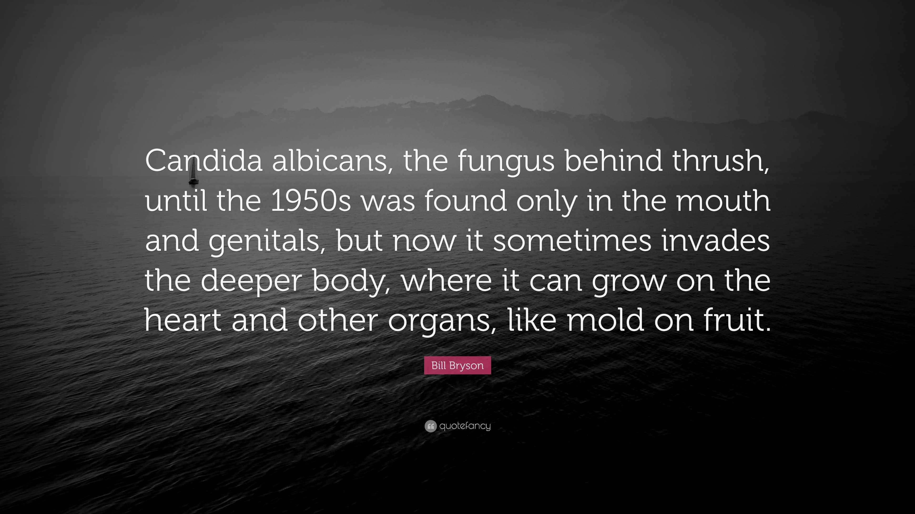 Bill Bryson Quote: “Candida albicans, the fungus behind thrush, until ...