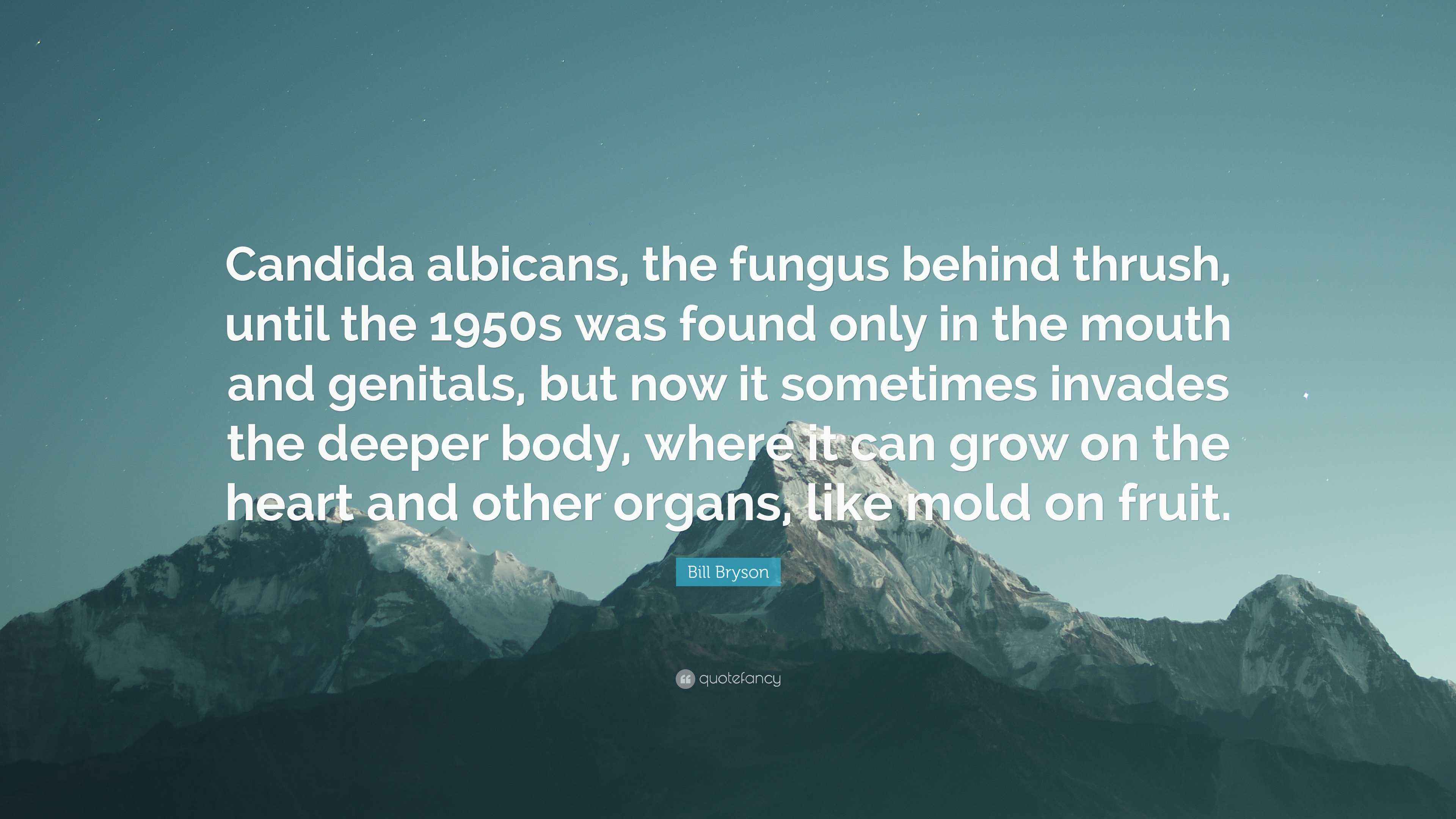 Bill Bryson Quote: “Candida albicans, the fungus behind thrush, until ...