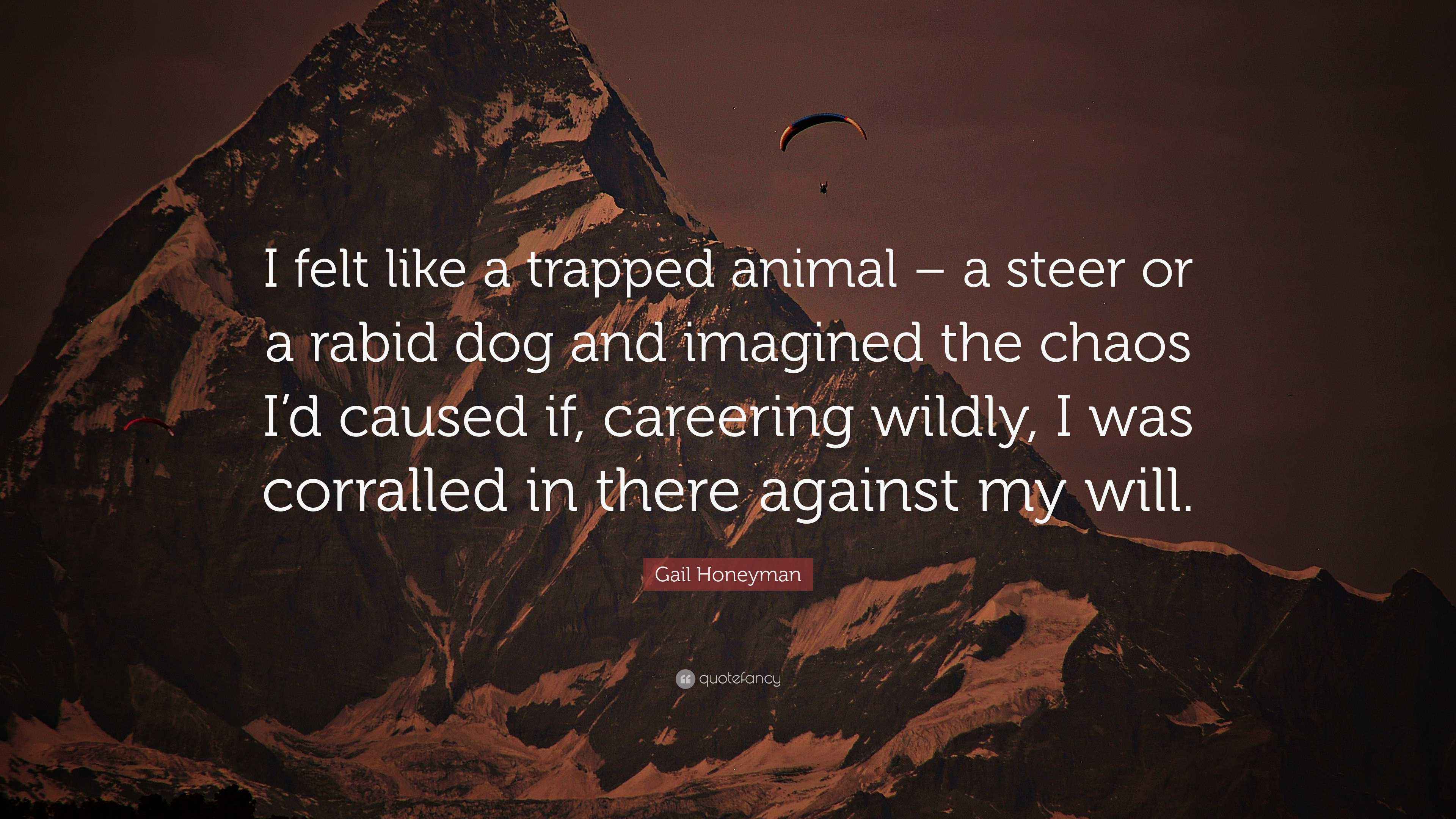 Gail Honeyman Quote: “I felt like a trapped animal – a steer or a rabid ...