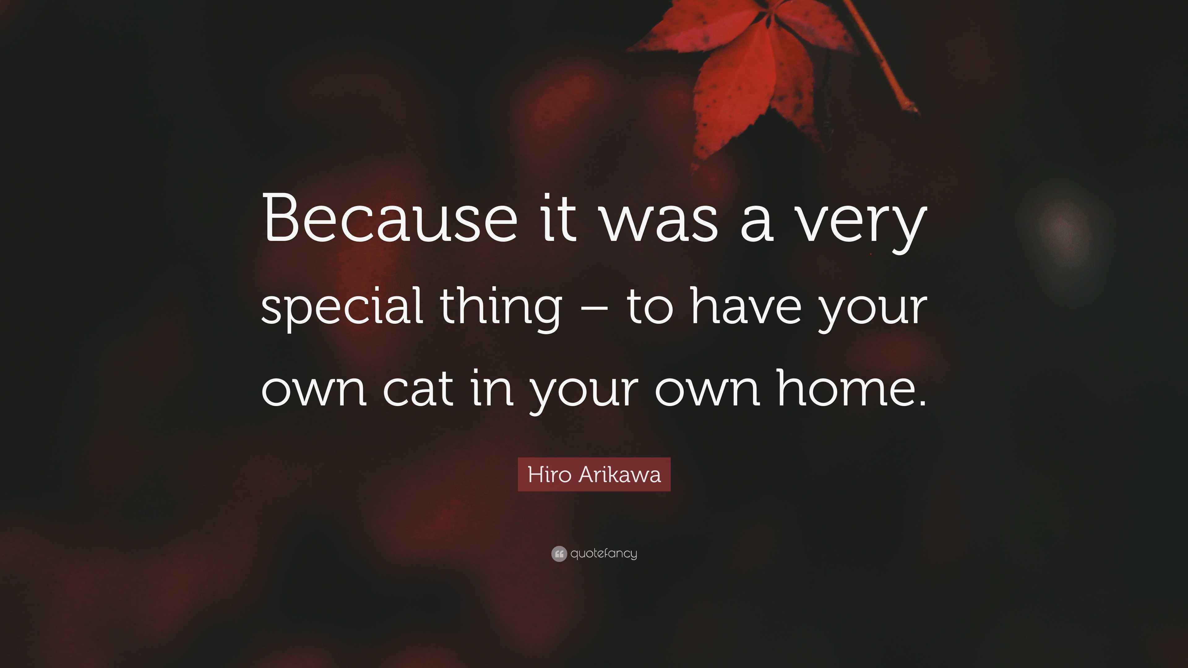 Hiro Arikawa Quote: “Because it was a very special thing – to have your ...