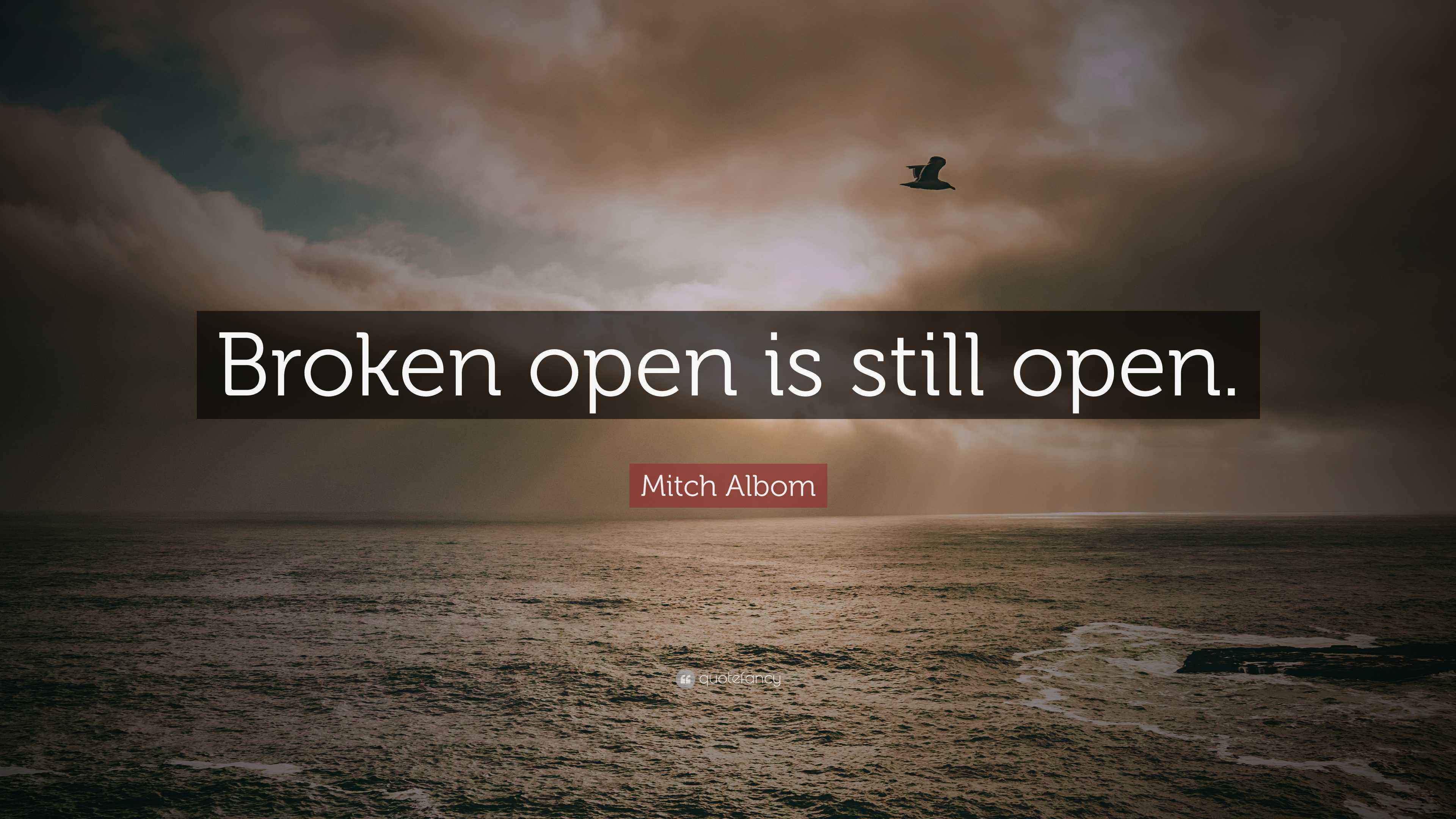 Mitch Albom Quote: “Broken open is still open.”