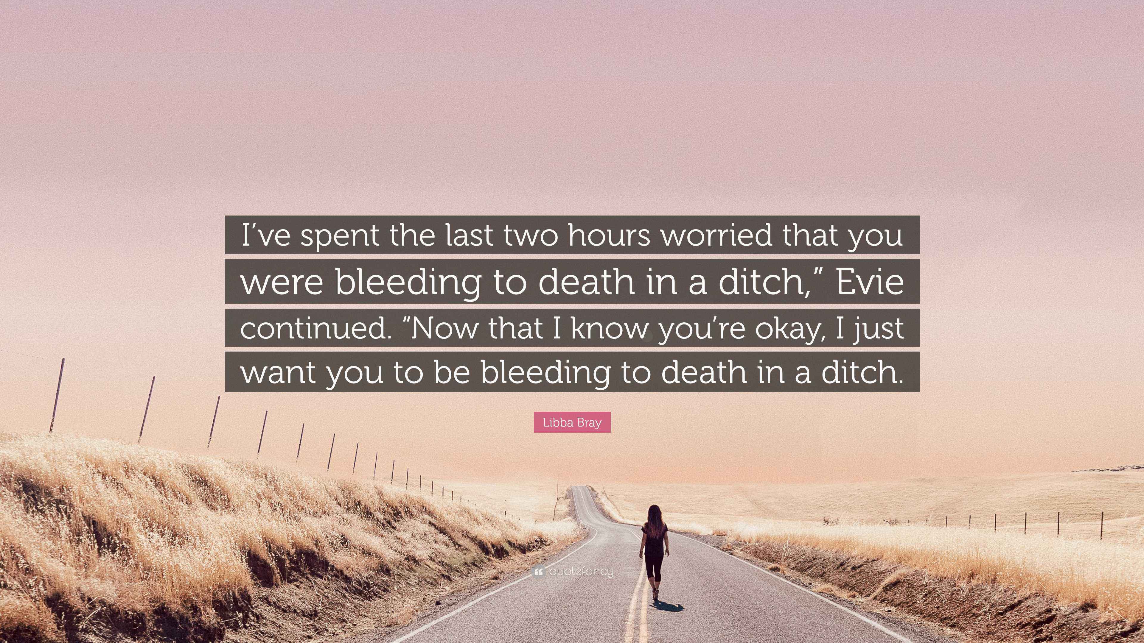 Libba Bray Quote: “I’ve spent the last two hours worried that you were ...