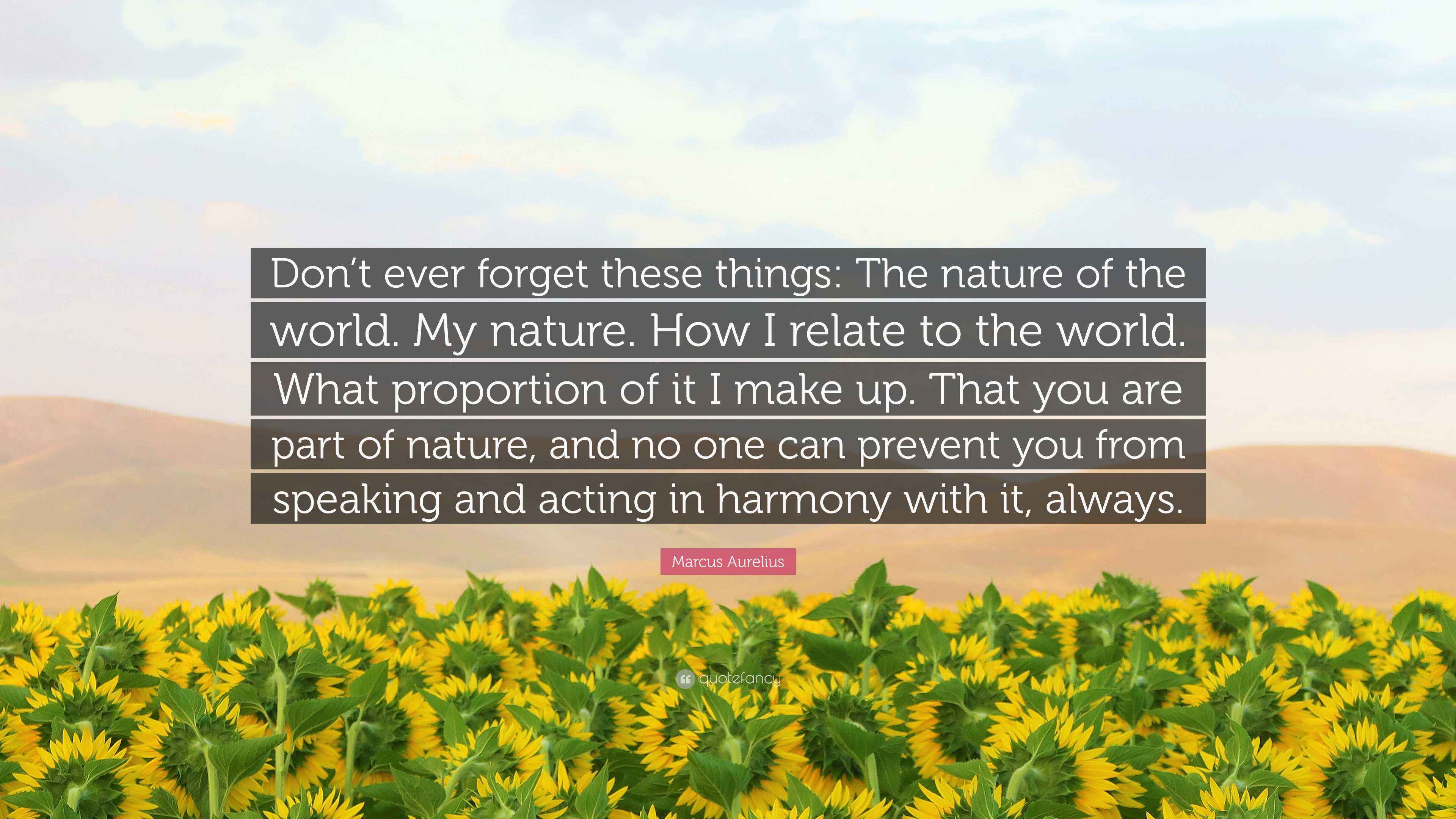 Marcus Aurelius Quote: “Don’t ever forget these things: The nature of ...