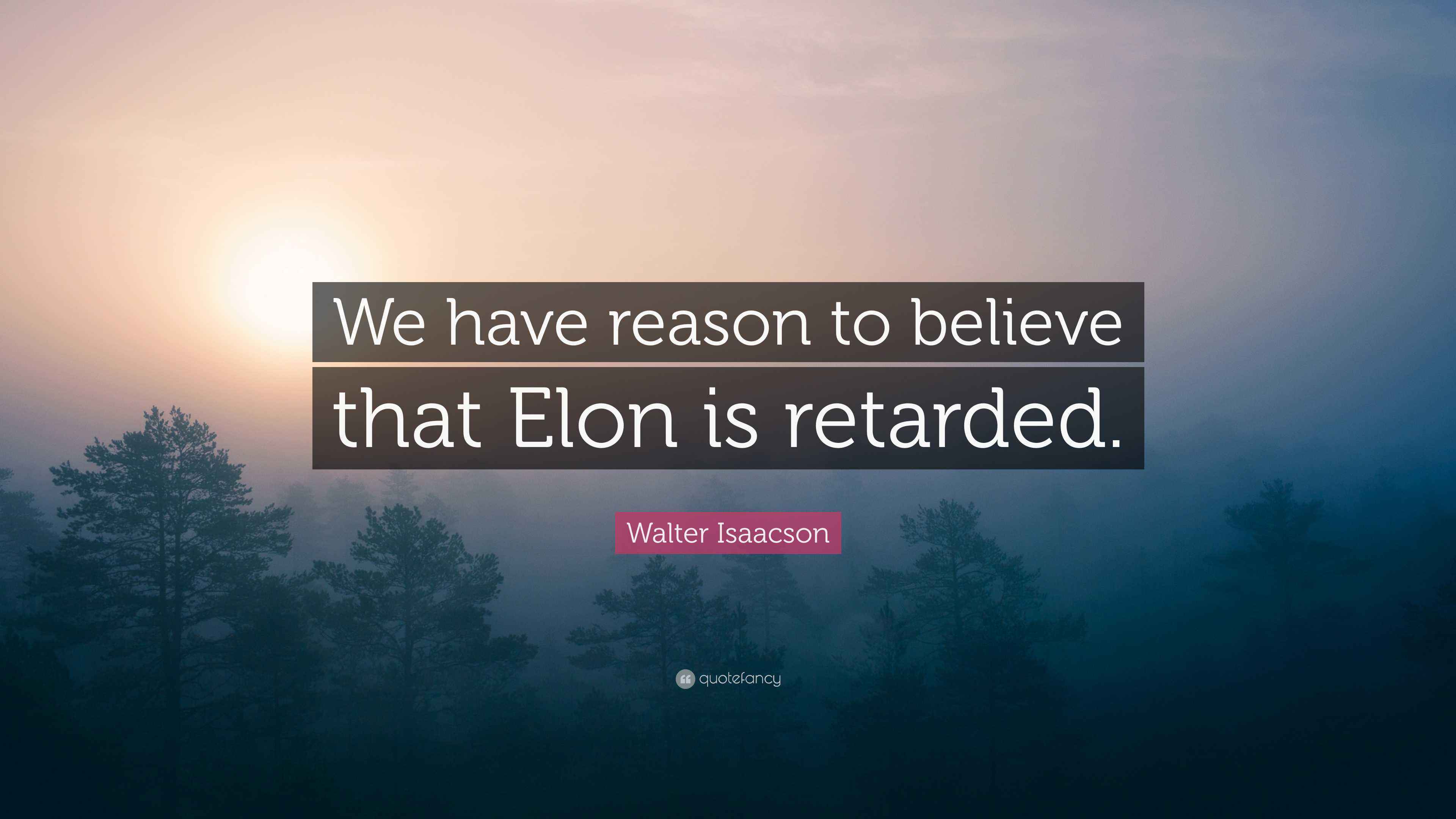 Walter Isaacson Quote: “We have reason to believe that Elon is retarded.”