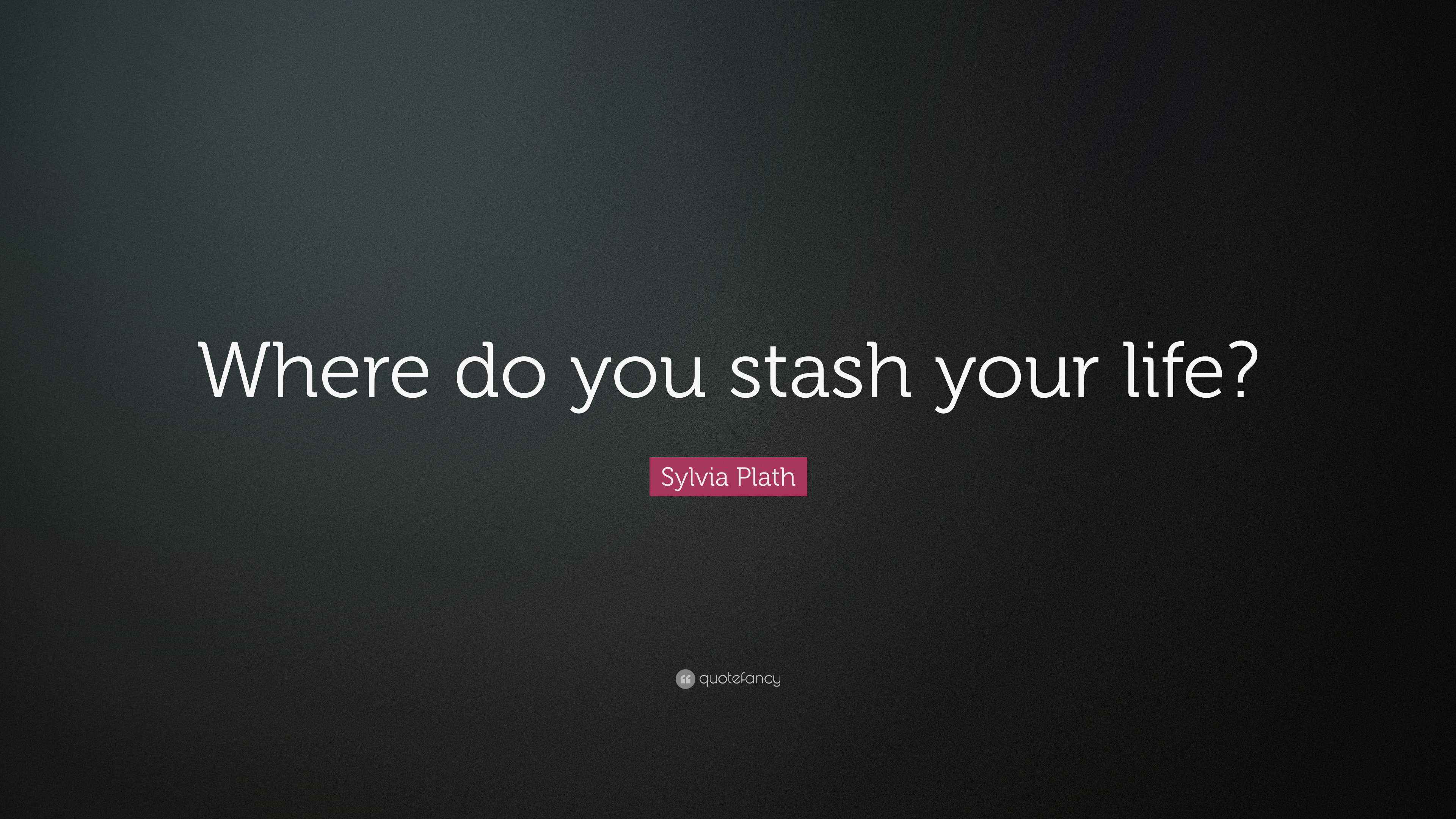 Sylvia Plath Quote: “Where do you stash your life?”