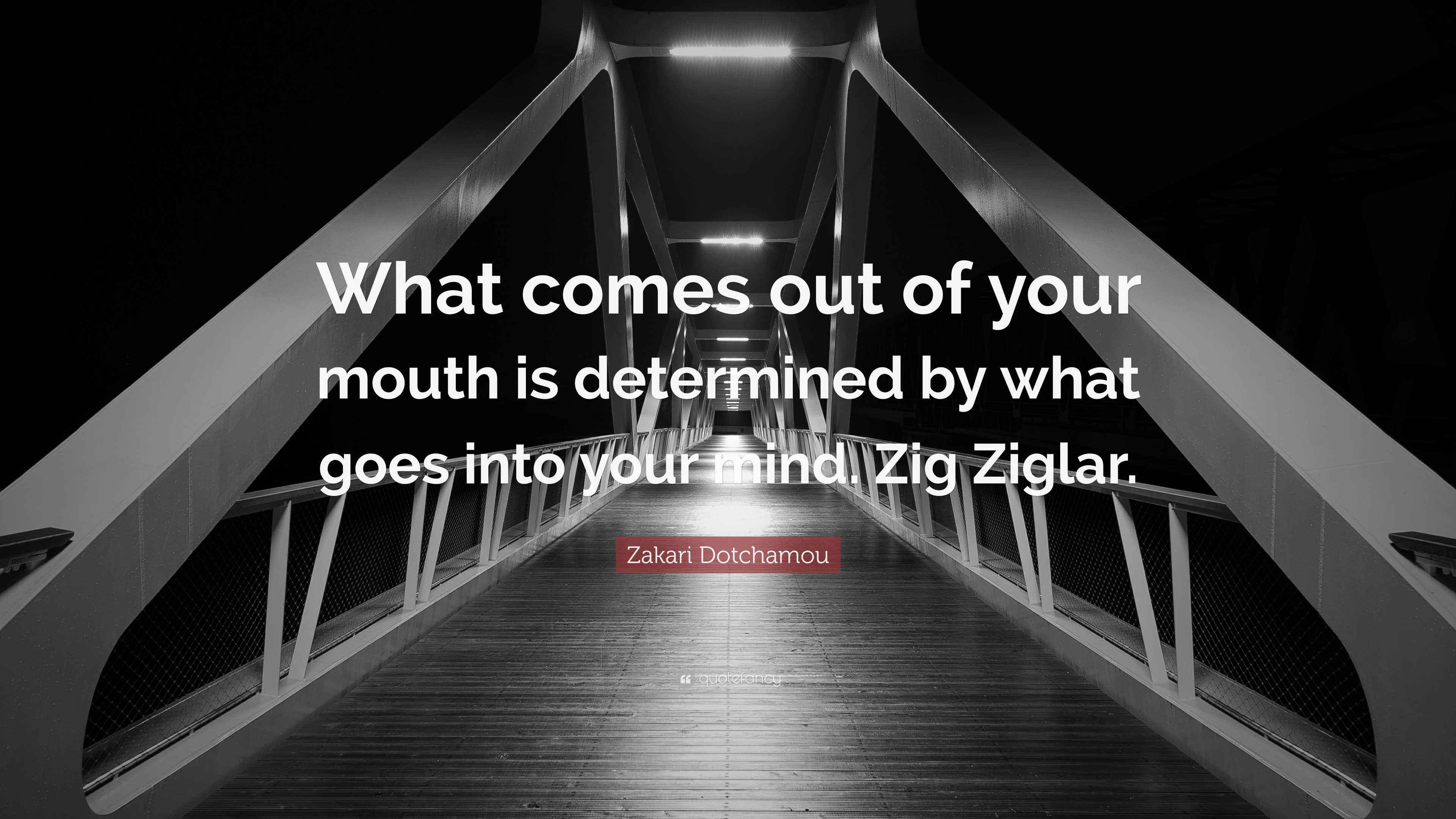 Zakari Dotchamou Quote: “What comes out of your mouth is determined by ...