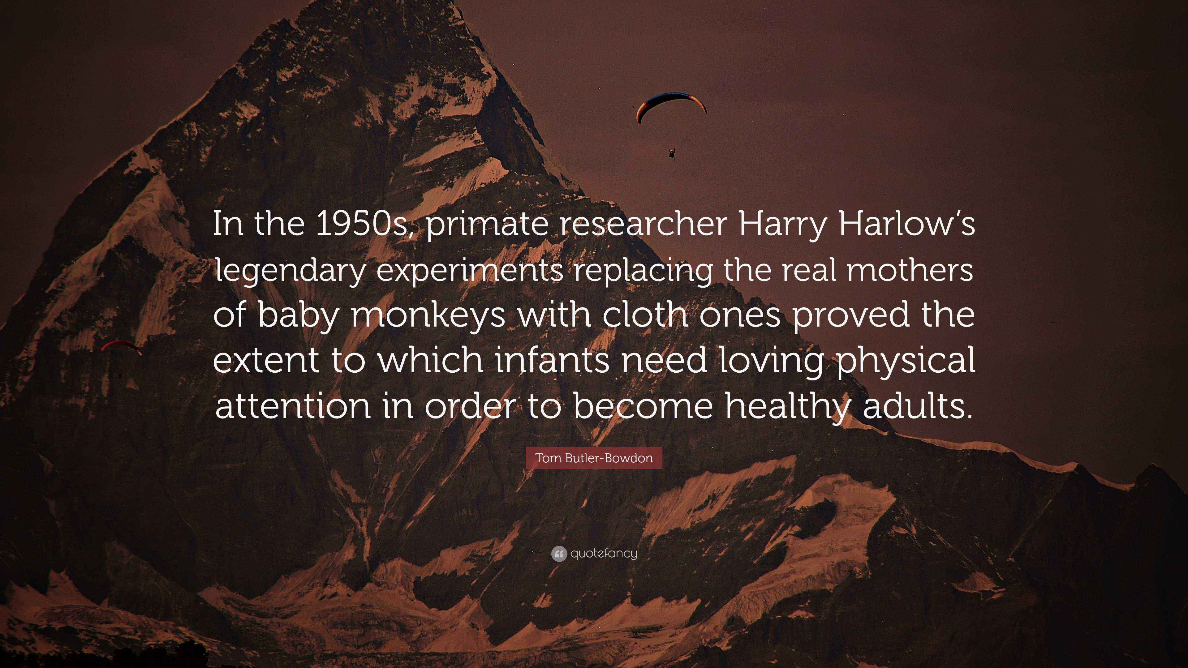 Tom Butler-Bowdon Quote: “In the 1950s, primate researcher Harry Harlow ...