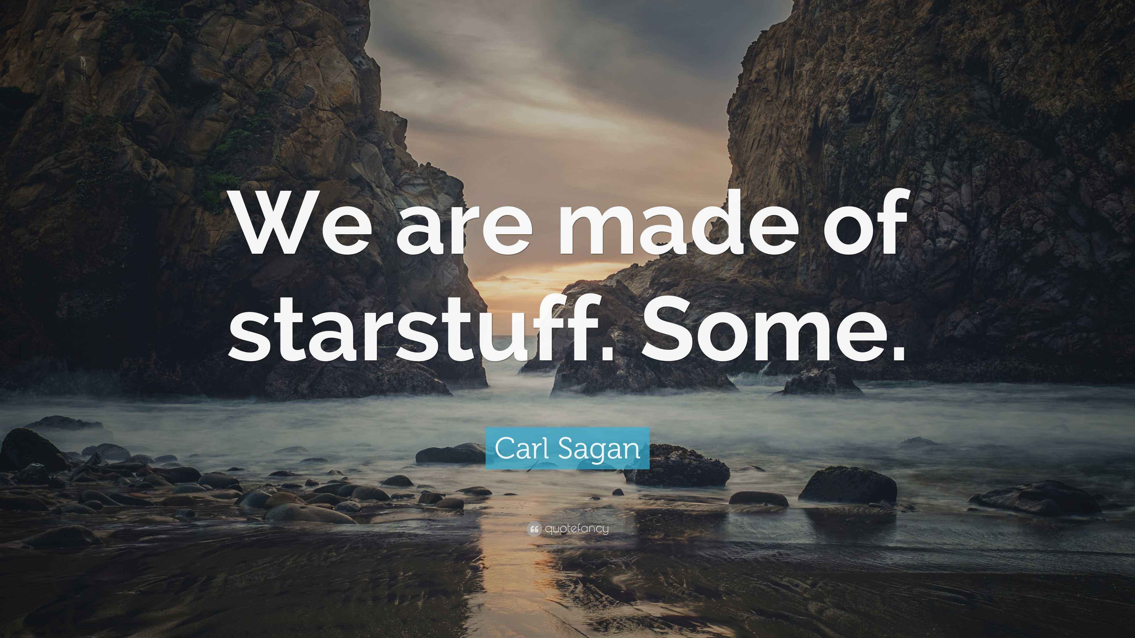 Carl Sagan Quote: “We are made of starstuff. Some.”