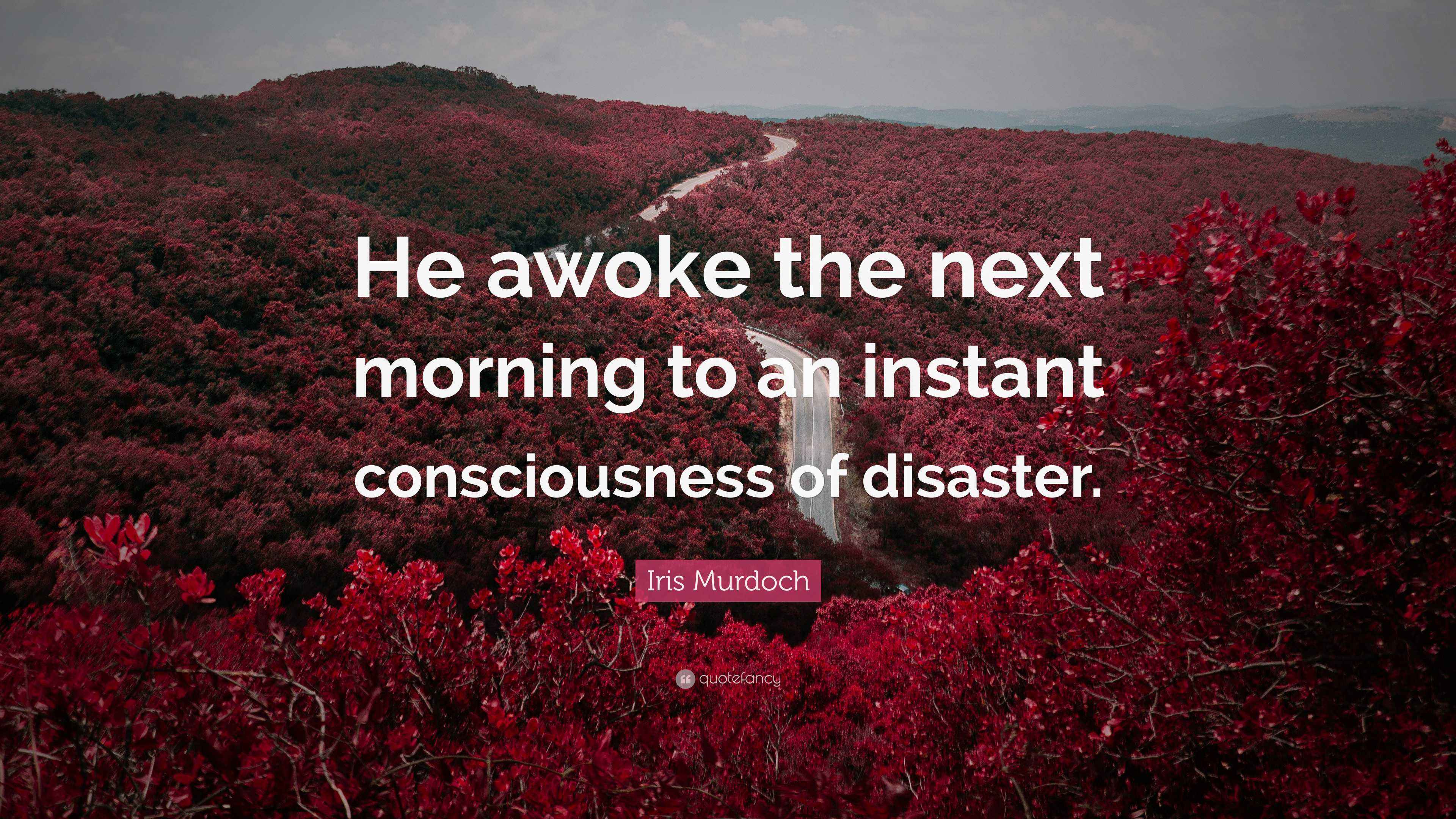 Iris Murdoch Quote: “He awoke the next morning to an instant ...